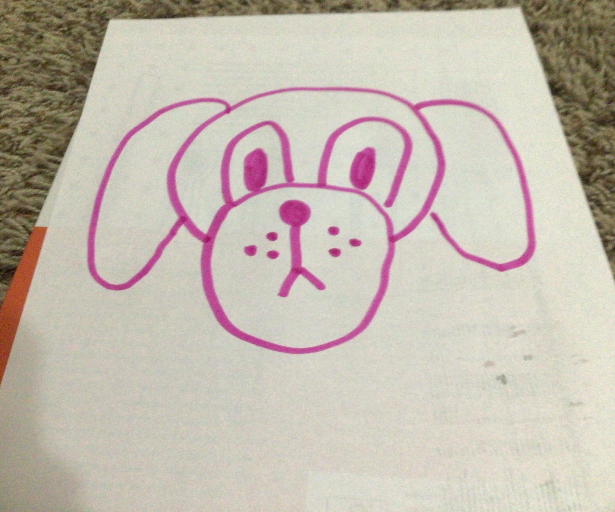 How to Draw a Dog Face : 7 Steps - Instructables