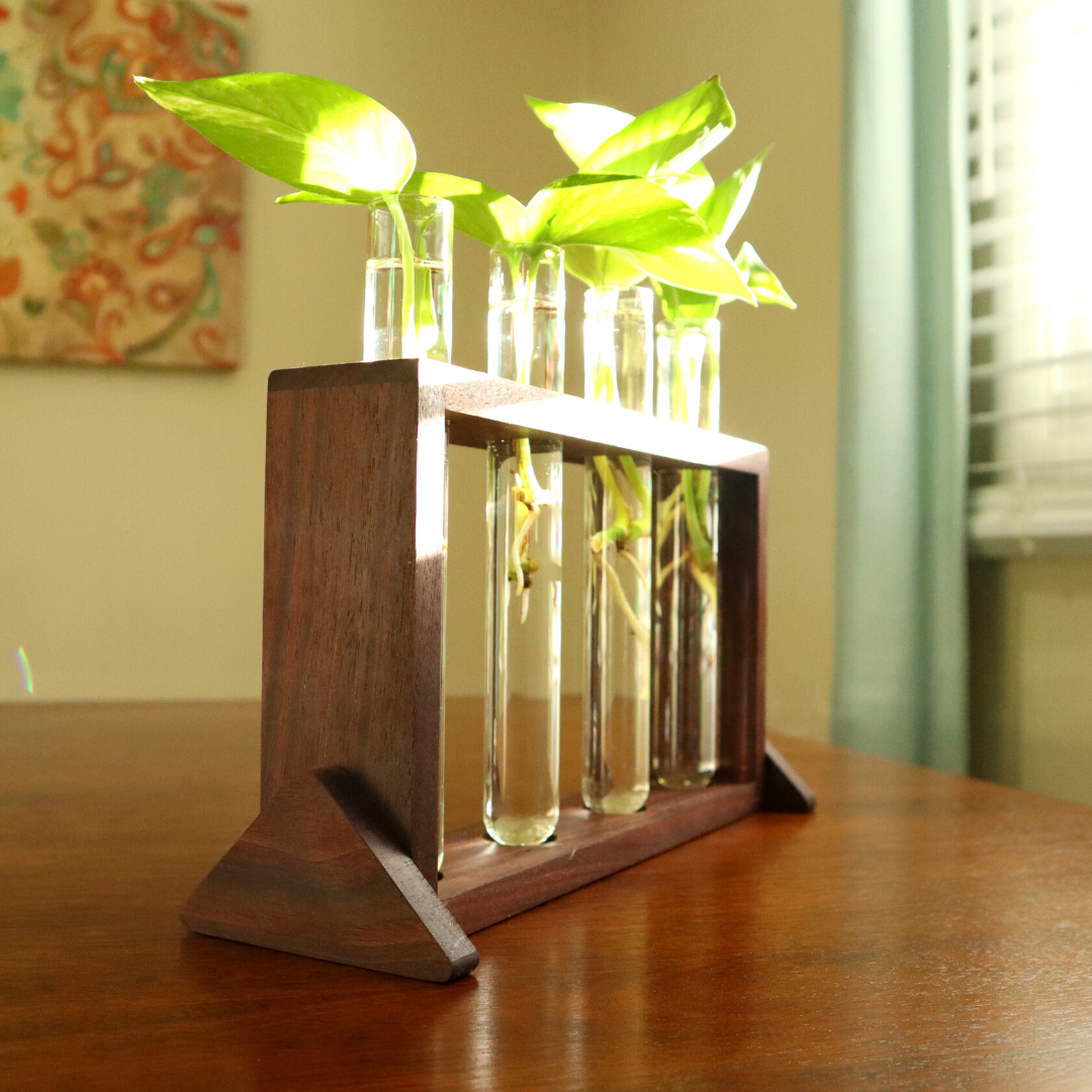 How to Make a Propagation Staion : 7 Steps (with Pictures) - Instructables
