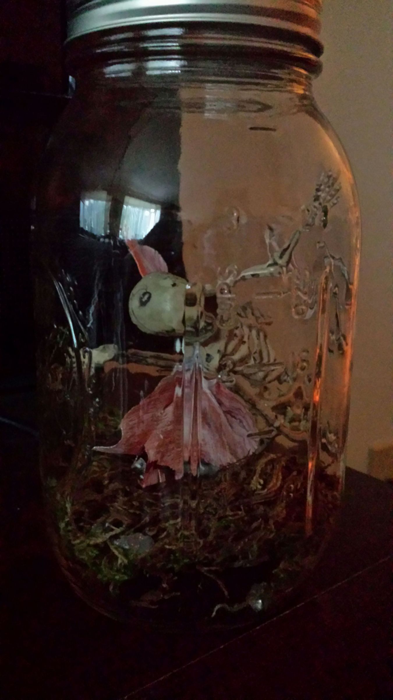 Dead Fairies : 4 Steps (with Pictures) - Instructables
