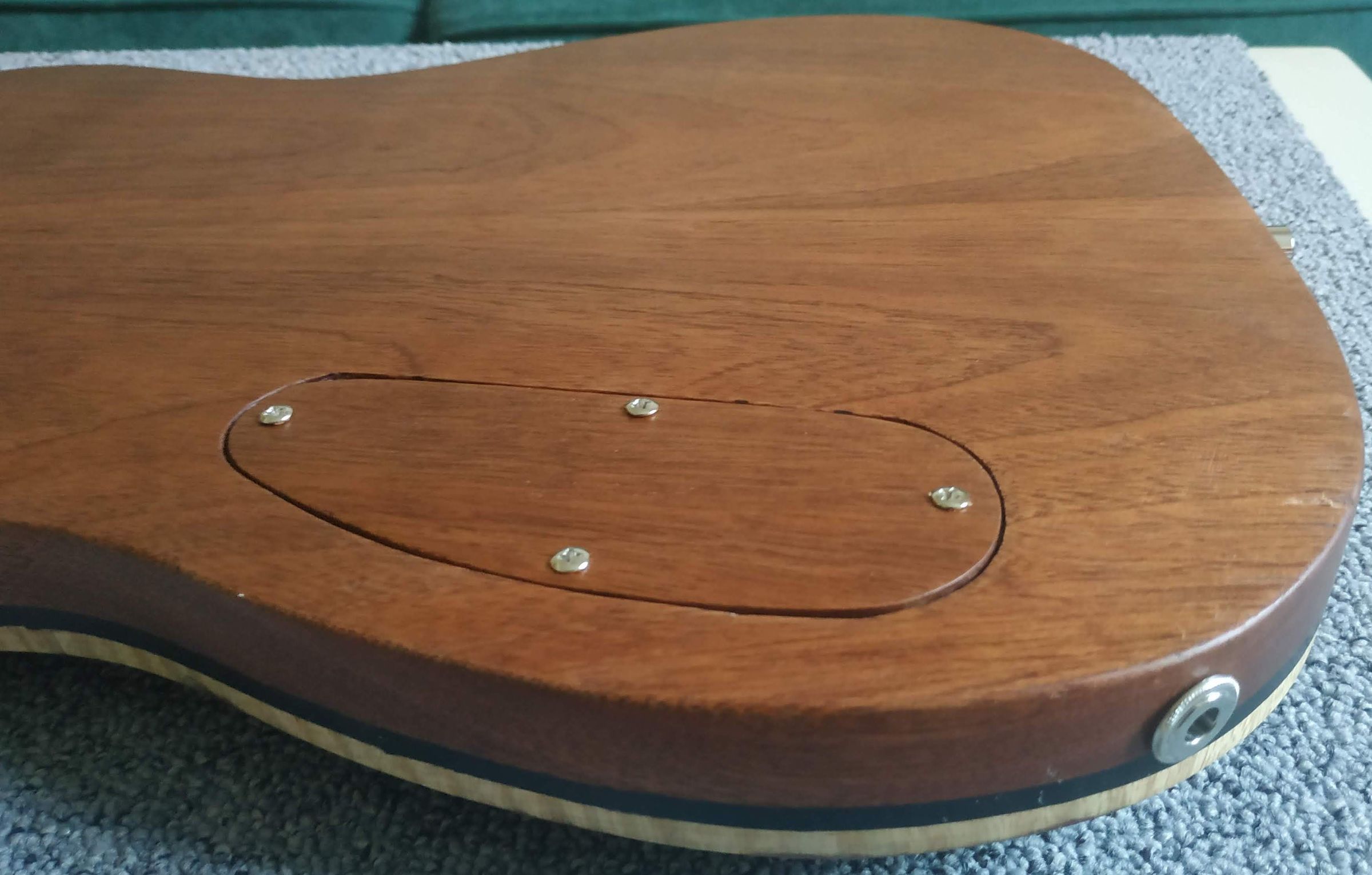Building a Guitar: Telecaster Thinline : 12 Steps (with Pictures ...