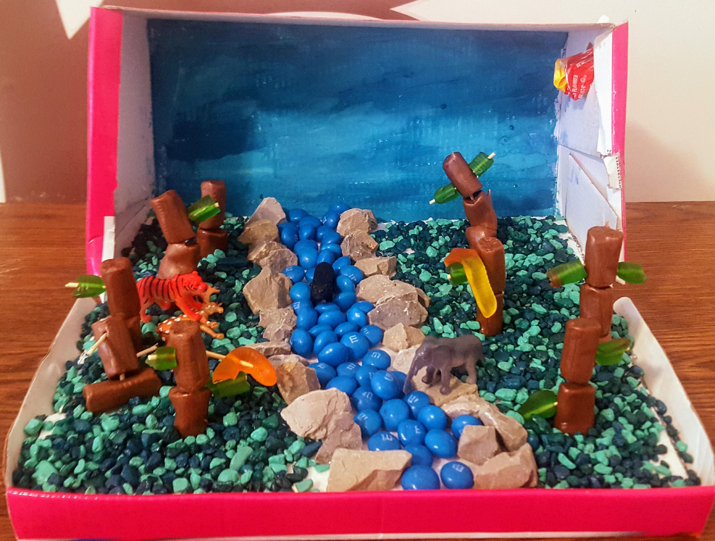 SIMPLE CANDY FOREST ECOSYSTEM : 9 Steps - Instructables