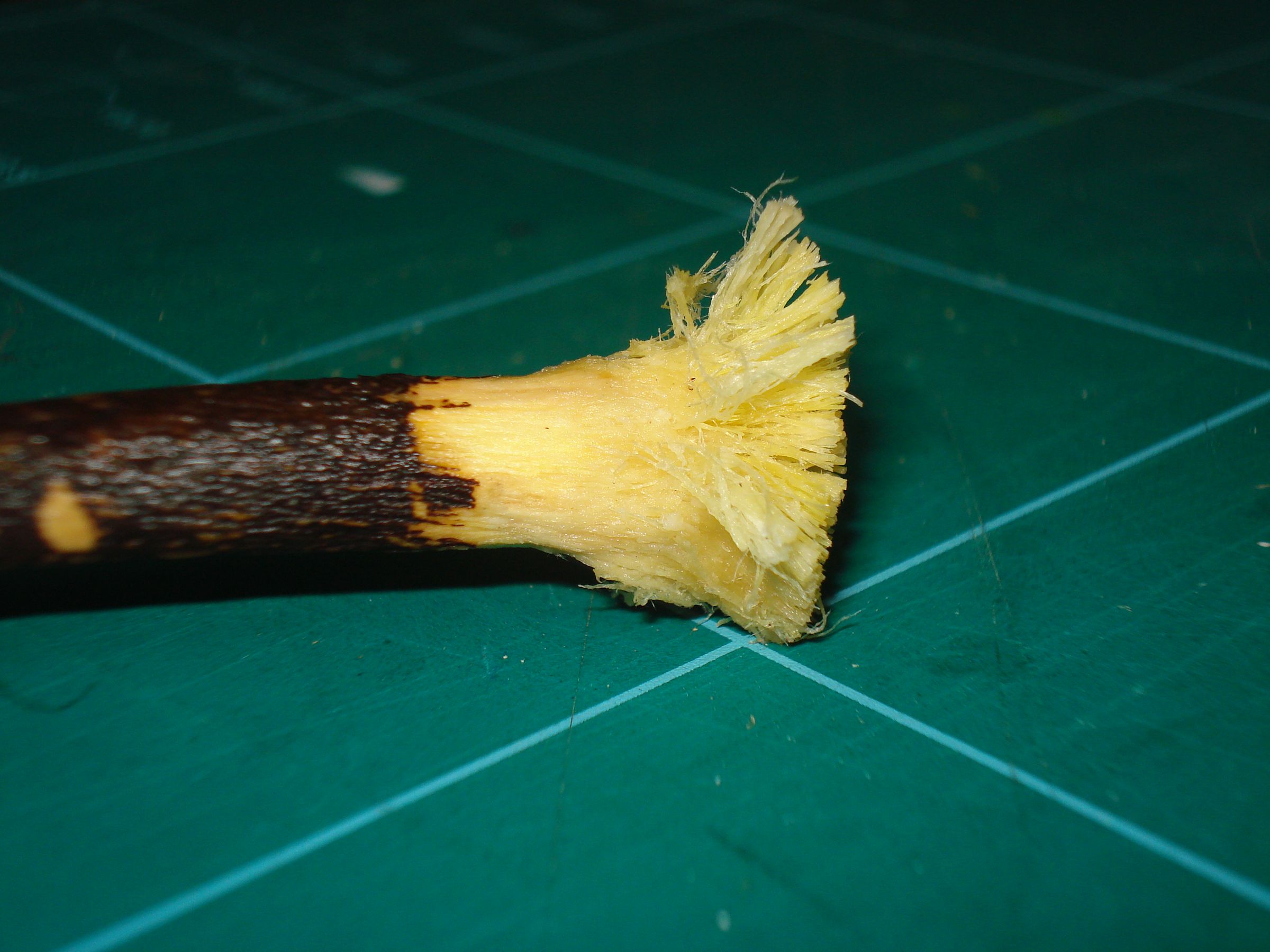 Pocket Miswak Toothbrush : 6 Steps (with Pictures) - Instructables