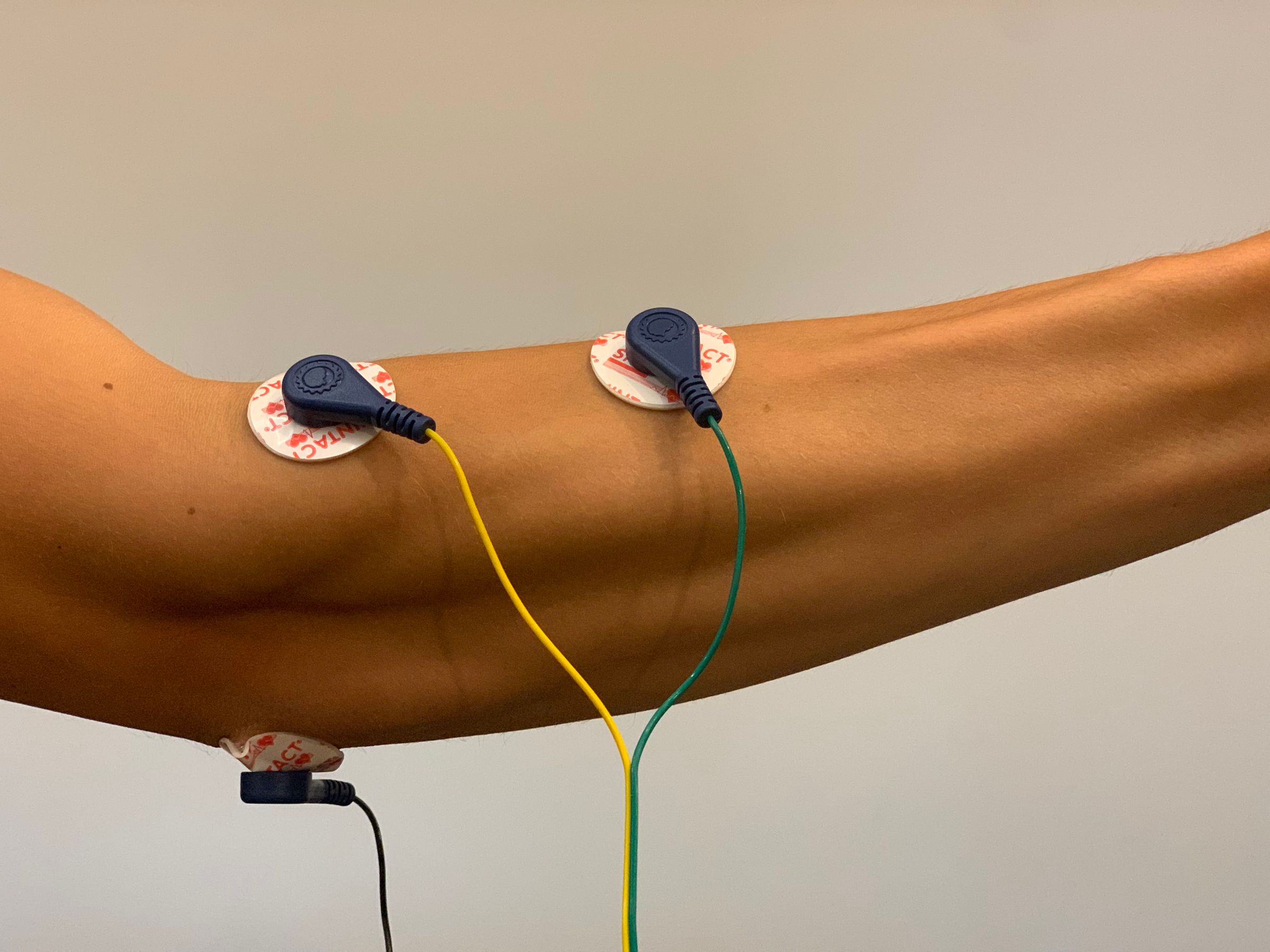 Neurobots Battle Royale: Muscle-Controlled Combat Hexbugs : 7 Steps ...