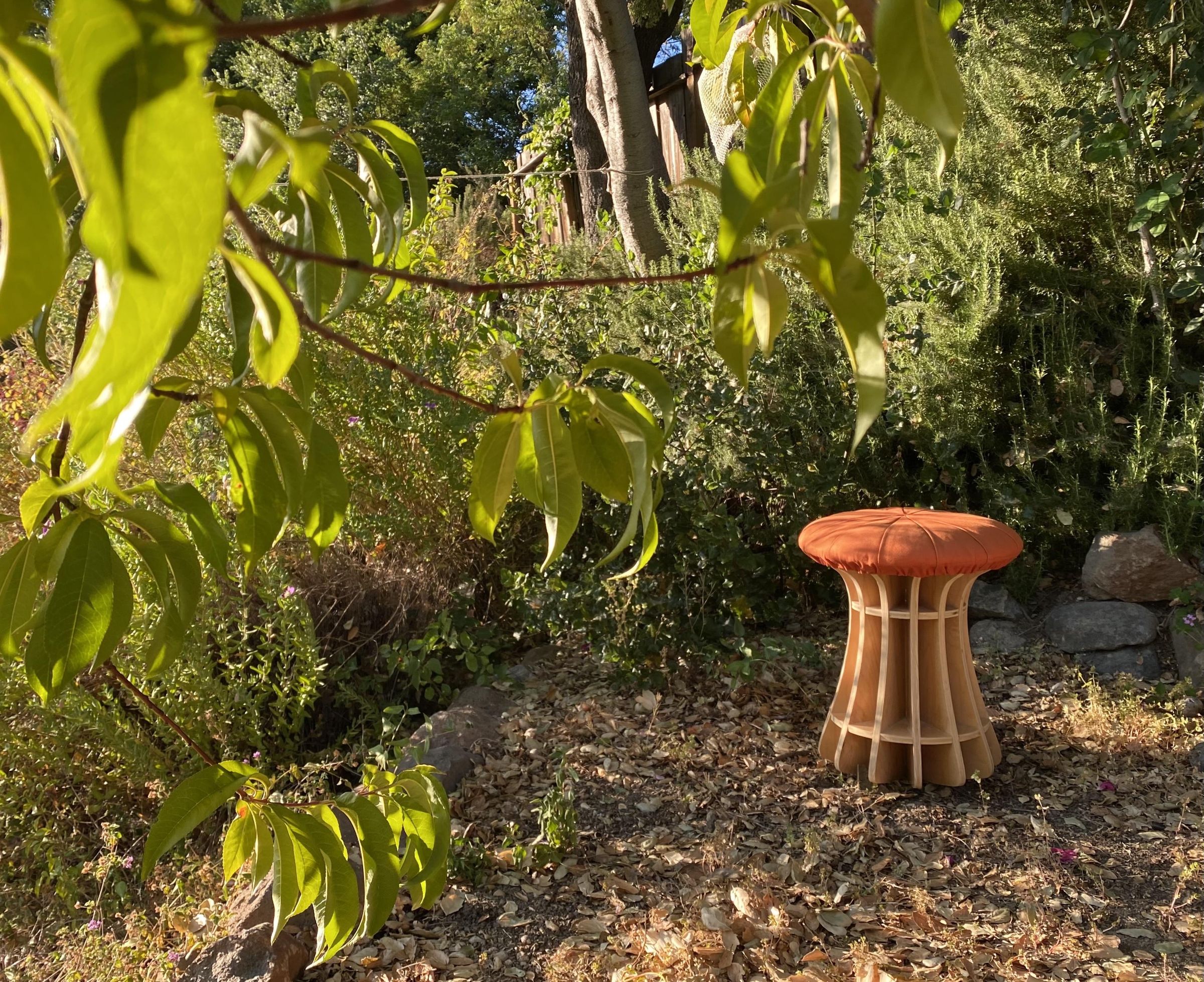 Toadstool: Mushroom-Inspired Rocking Stool : 17 Steps (with Pictures ...