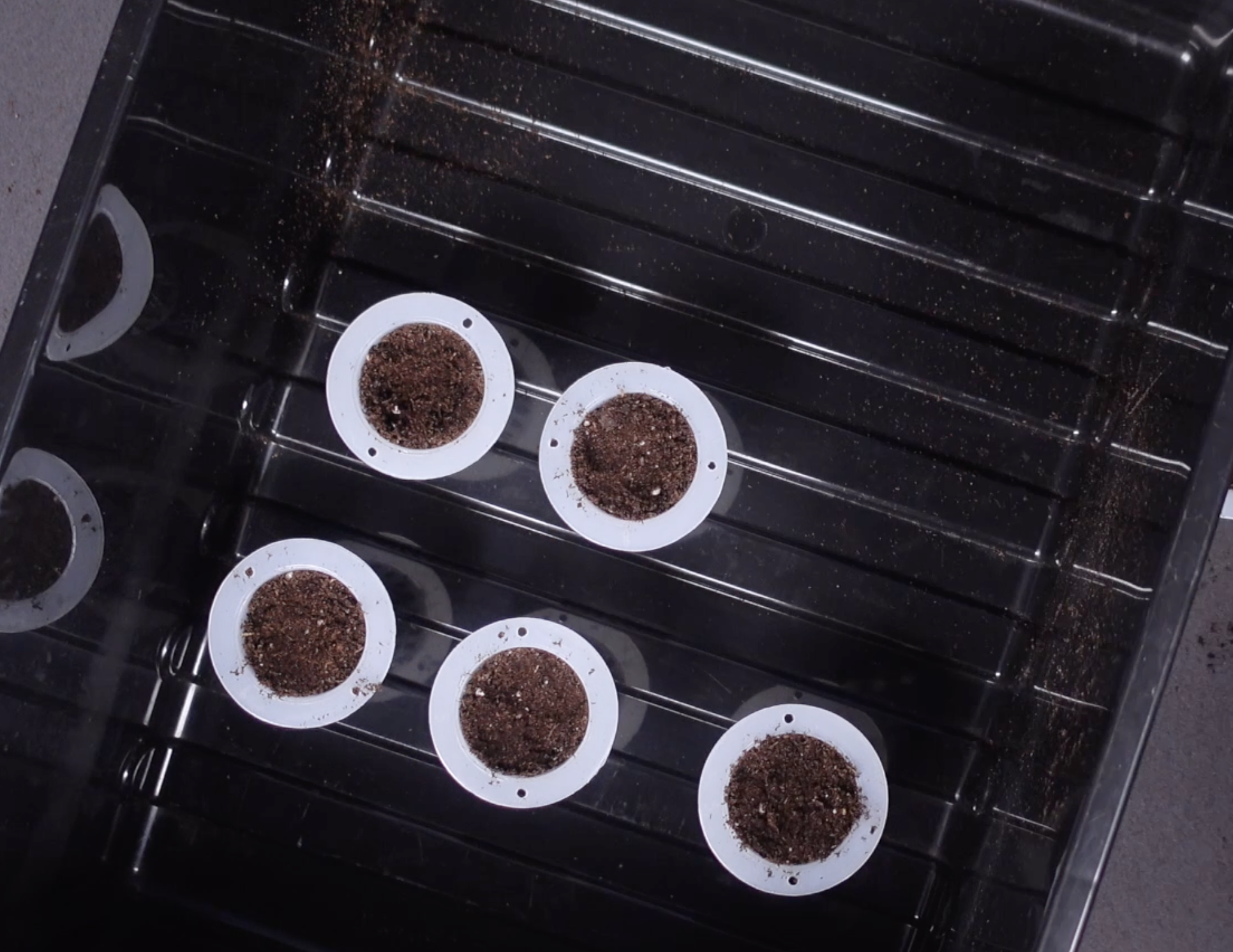 Make Your Hydroponics System Fully Automated and View Data Via the ...