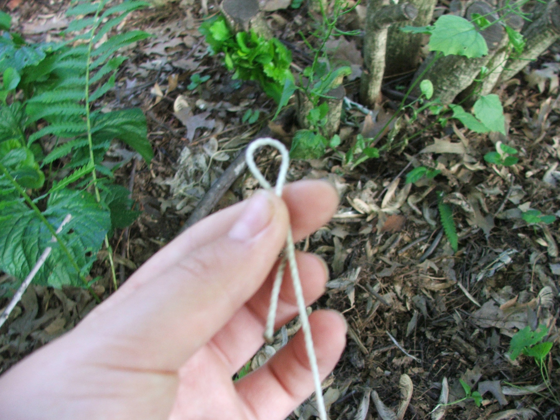 Survival Snare : 3 Steps - Instructables