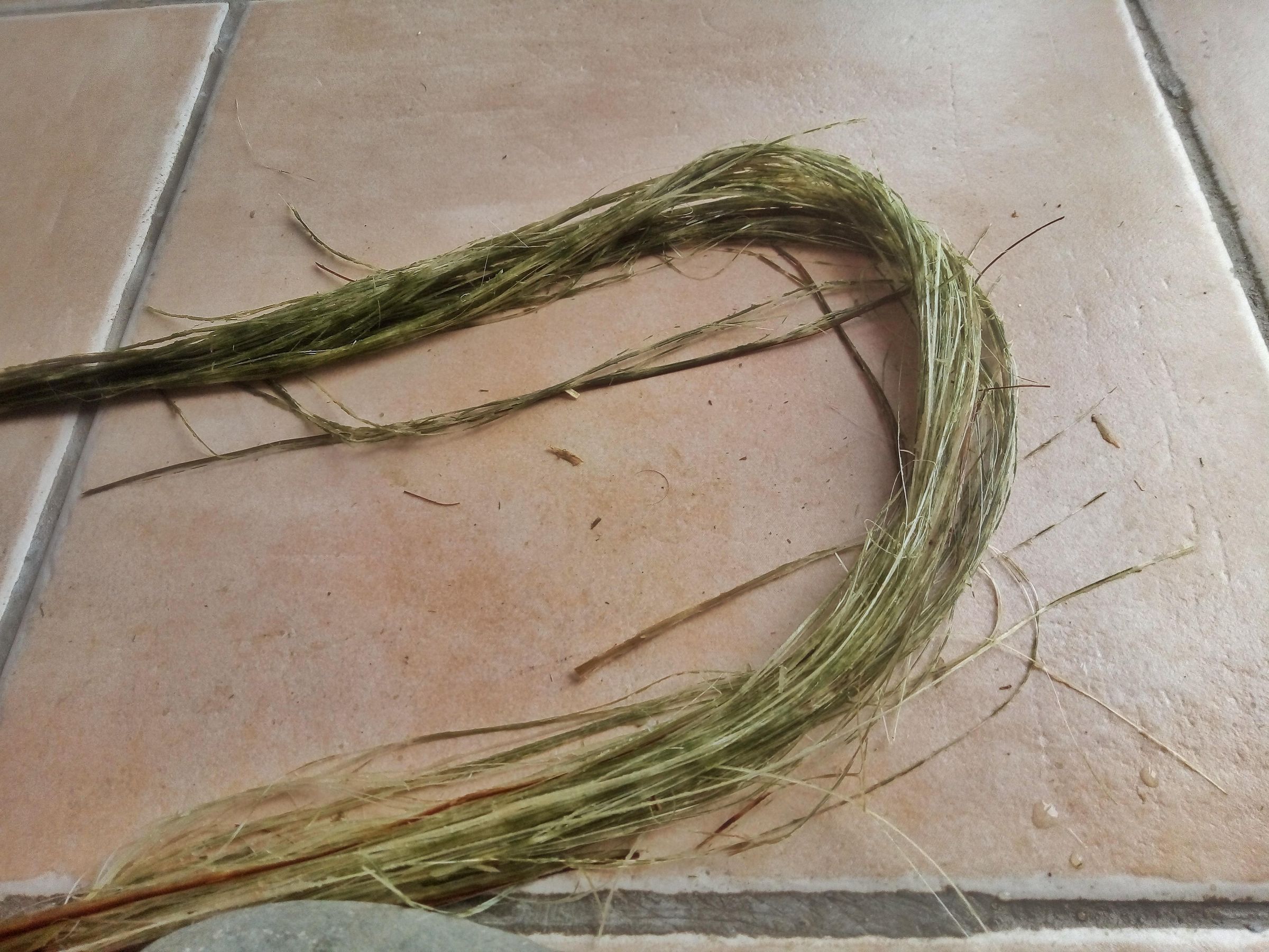How to Make Rope / String With Natural Plant Fibers : 6 Steps (with ...
