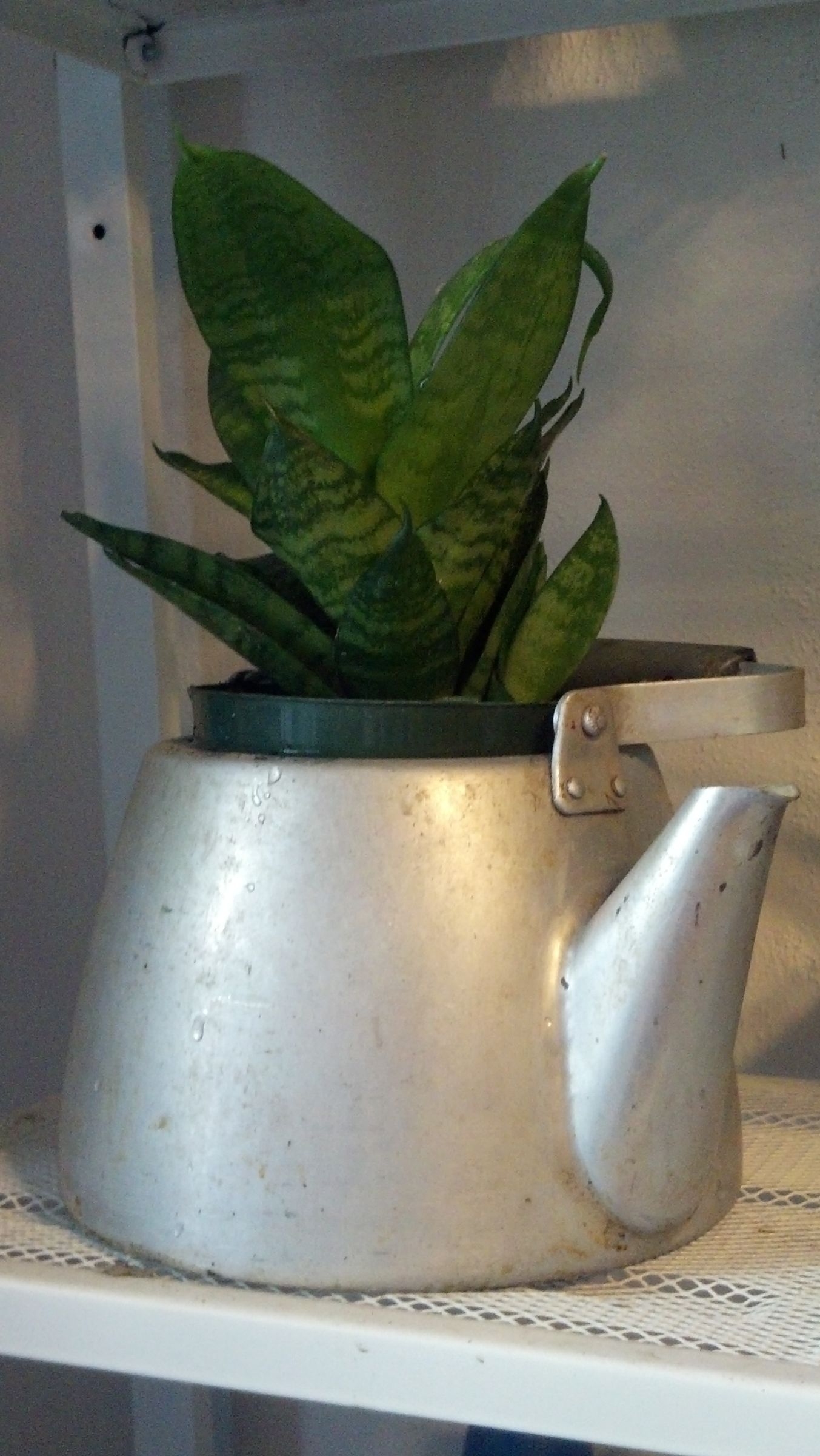 Upcycled Teapot Planters - Instructables