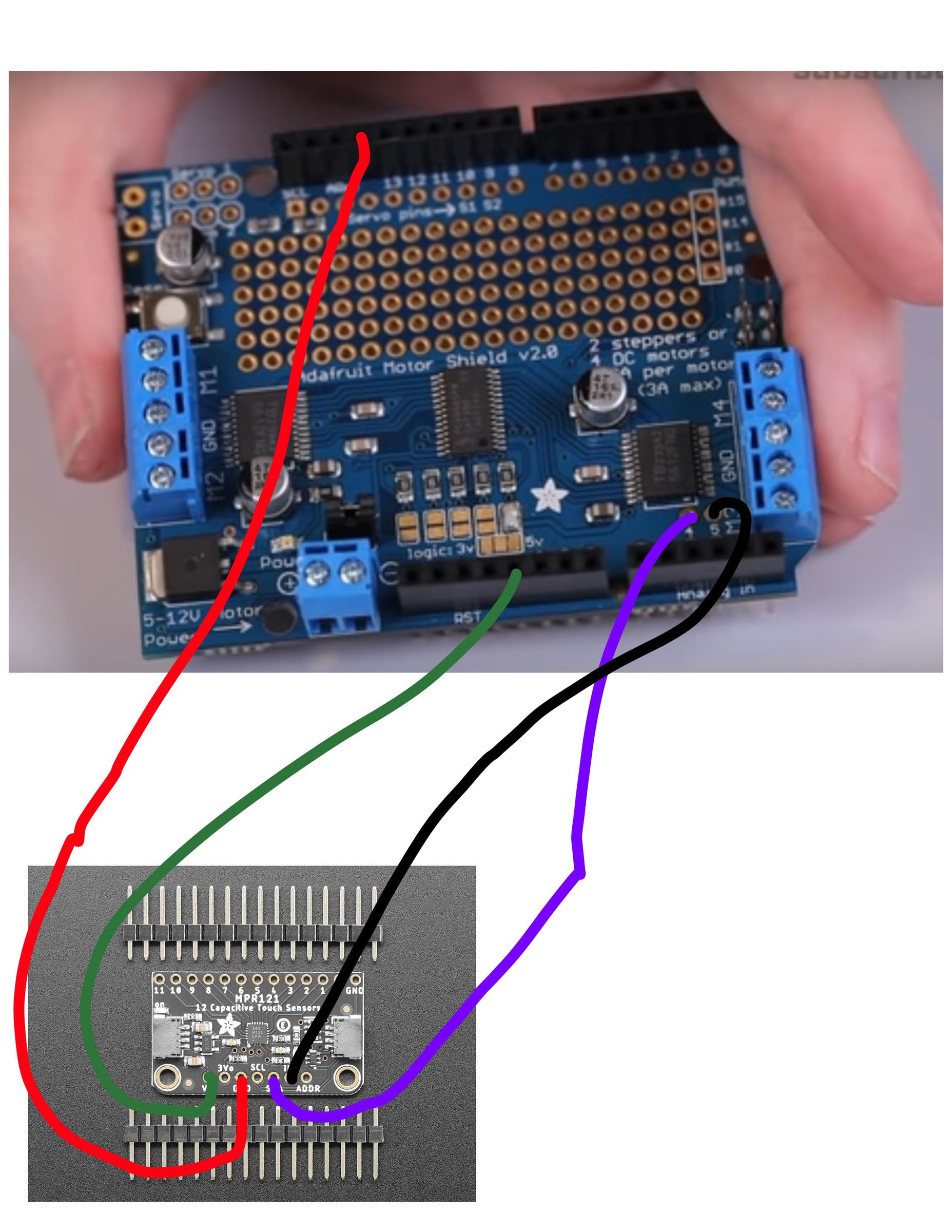 Build a Car With Touch Sensitive Steering for Your Rat : 10 Steps (with ...