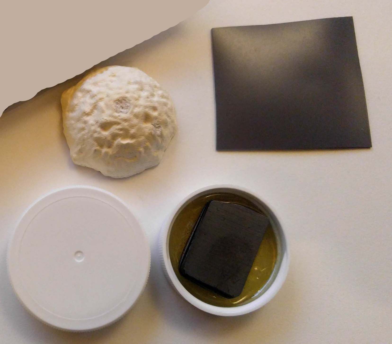 $5 DIY Magnetic Coral Frag Plug (mag-frag) for Reef Aquarium ...