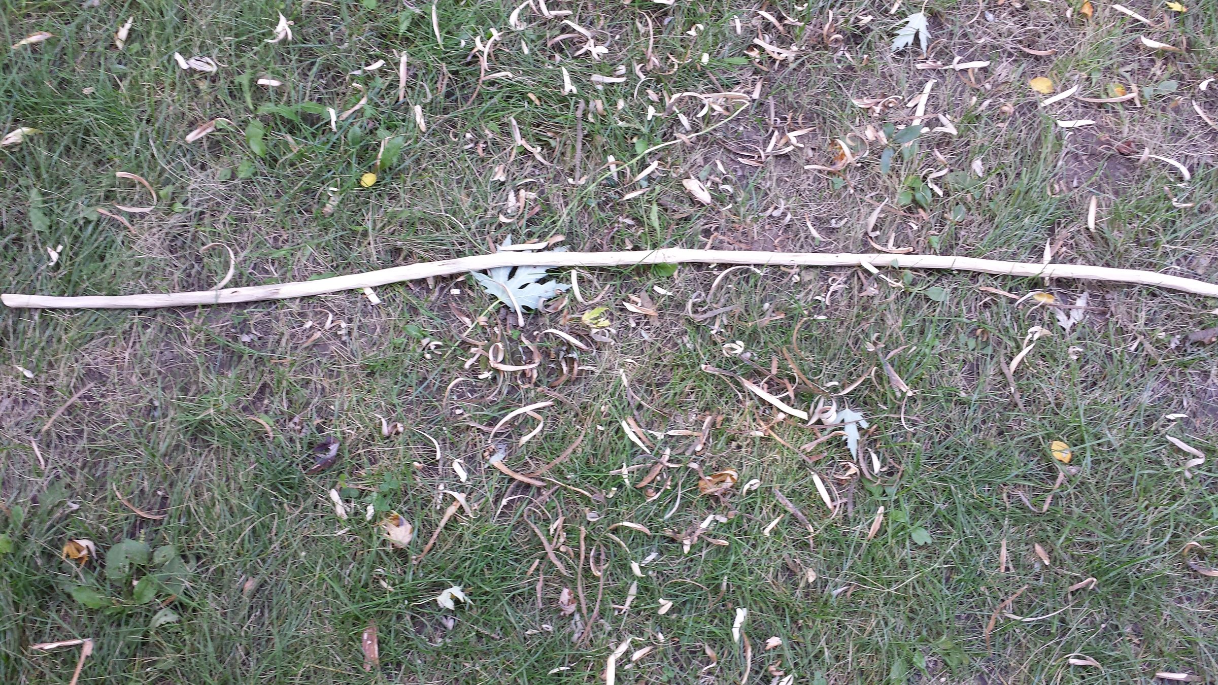 Build Your Own Atlatl : 21 Steps (with Pictures) - Instructables