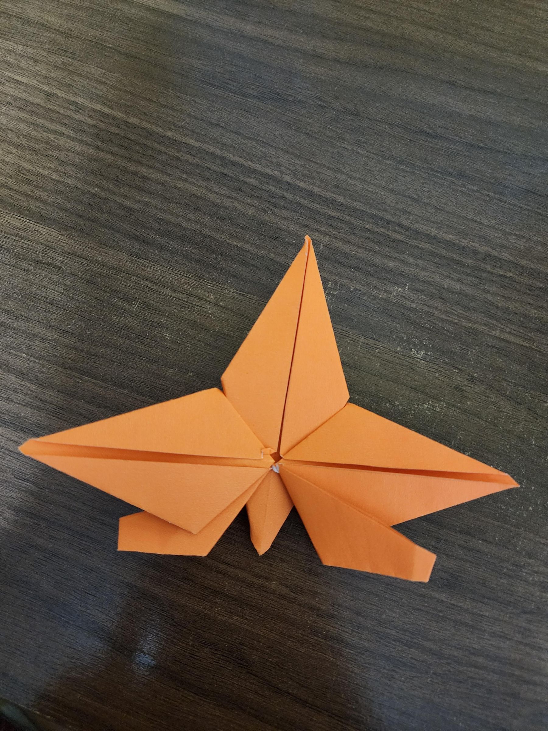 Maple Leaf Handcraft : 11 Steps - Instructables