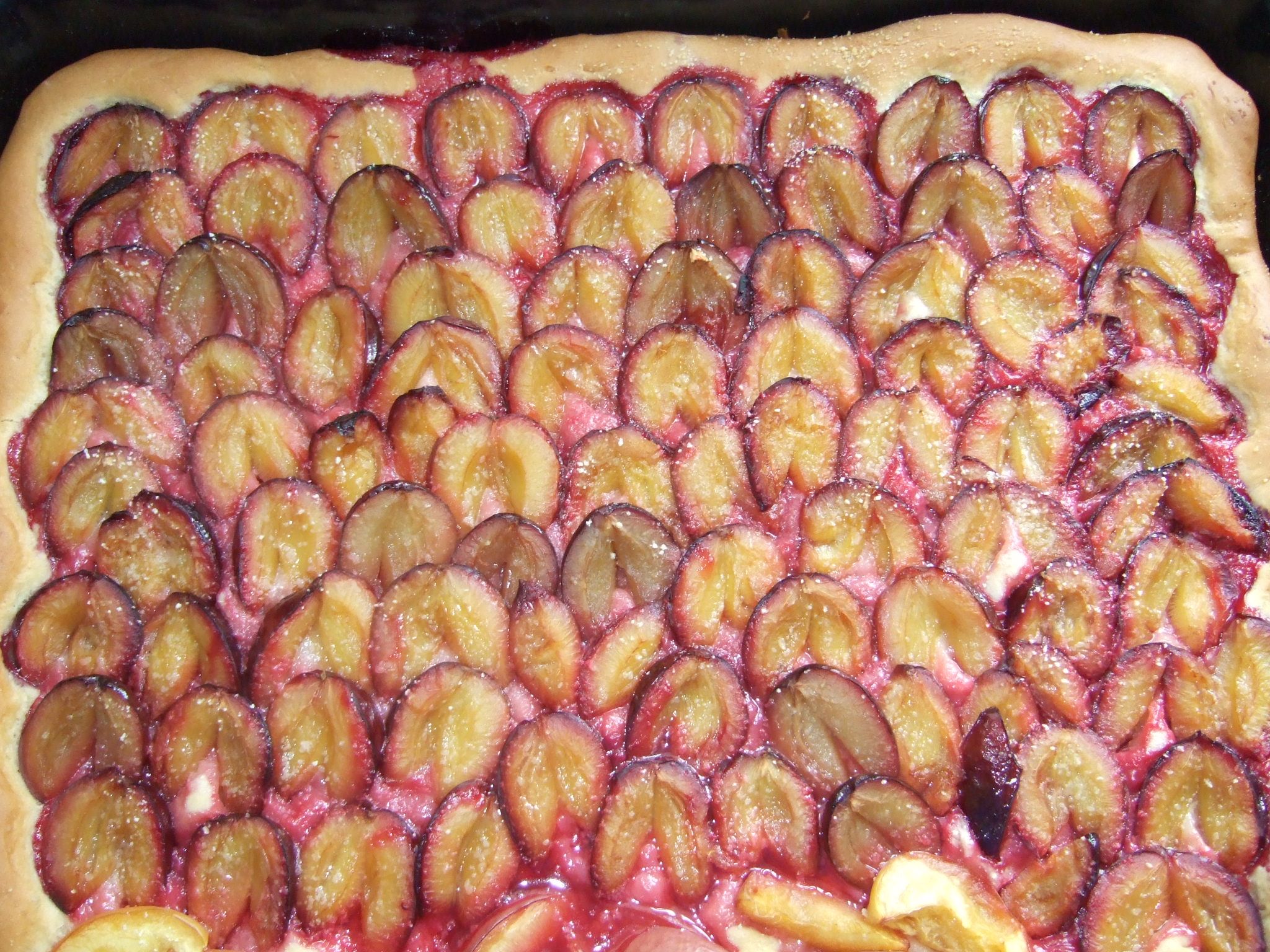 Damson Tart (Zwetschgendatschi) : 5 Steps (with Pictures) - Instructables