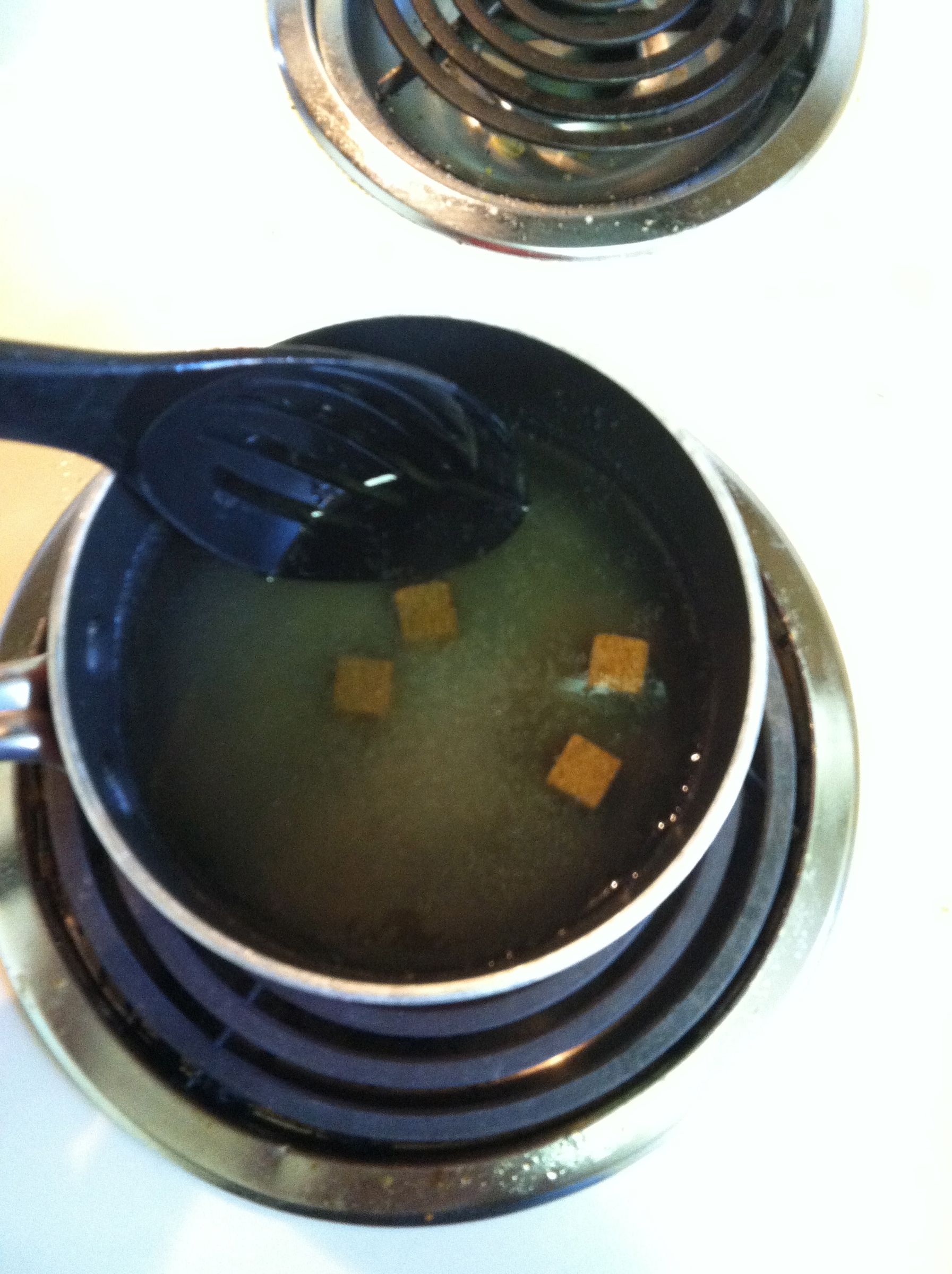 Homemade Gelatin Plates for Growing Microorganisms : 7 Steps ...