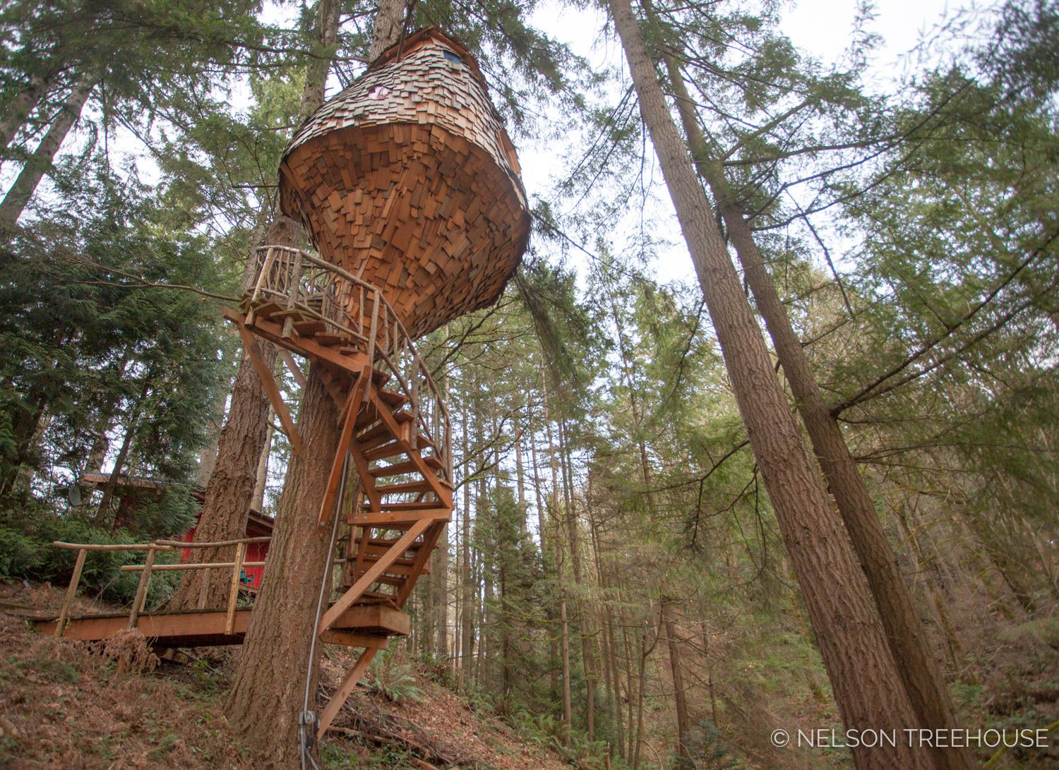 Treehouse Winding Staircase : 5 Steps (with Pictures) - Instructables