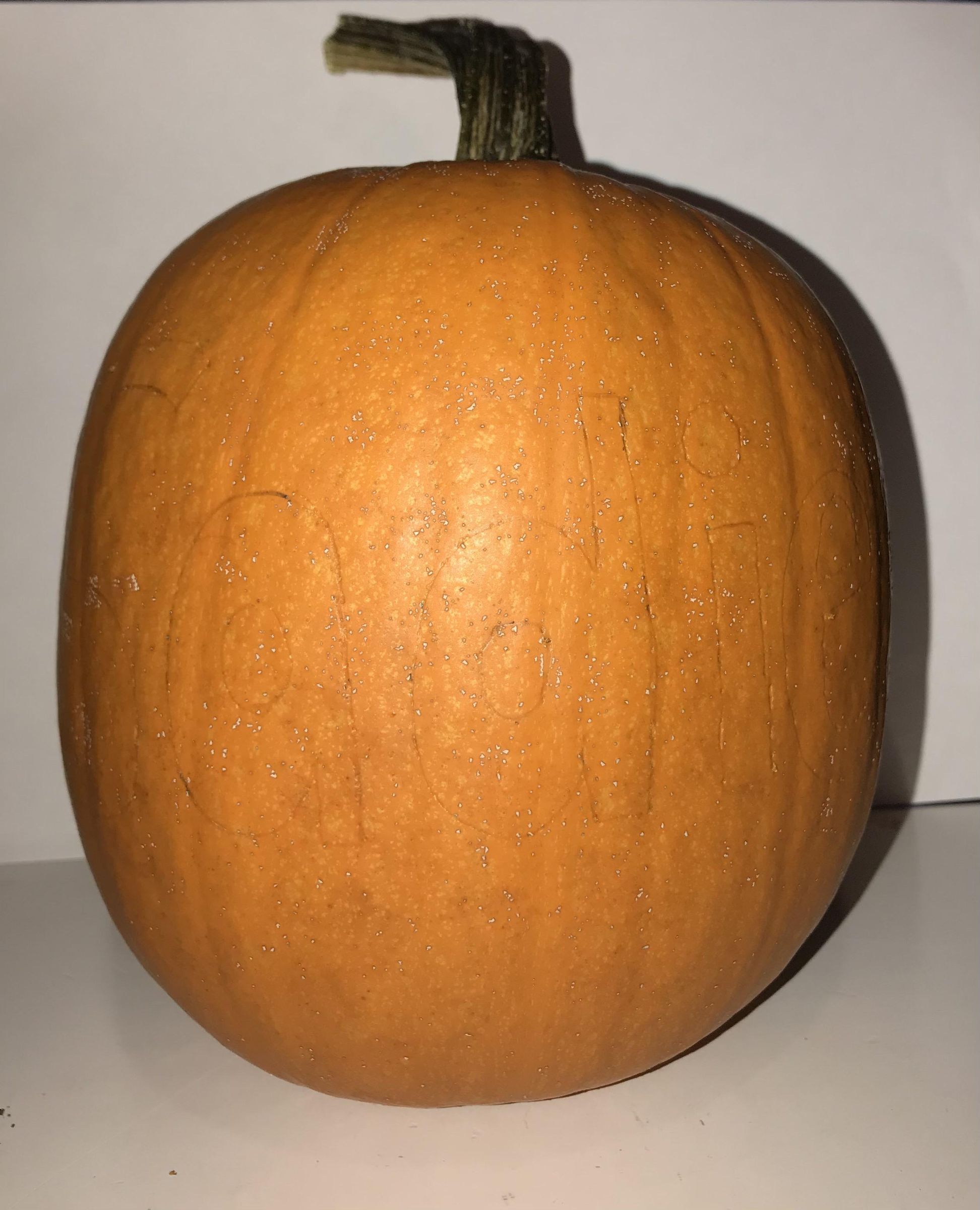 DIY Personalized Message Pumpkin : 7 Steps - Instructables