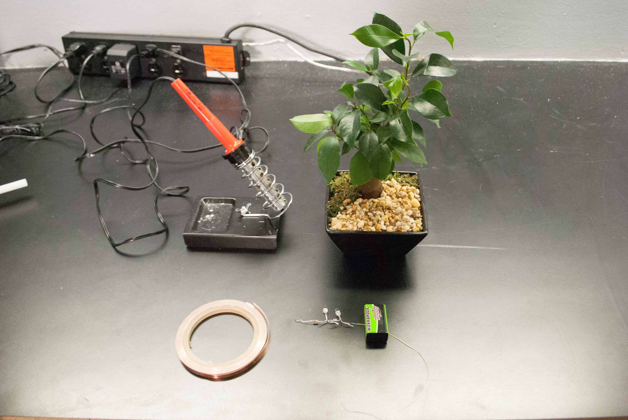 Positivity Plant : 8 Steps (with Pictures) - Instructables