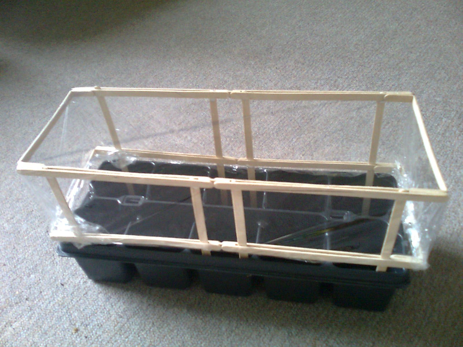 Greenhouse From Wooden Stirrers : 7 Steps - Instructables