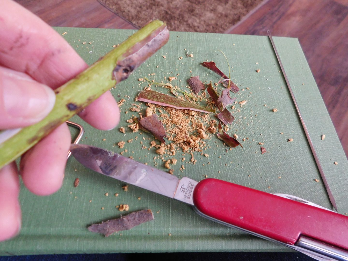 How to Make a Spile(for Collecting Sap) : 6 Steps (with Pictures ...