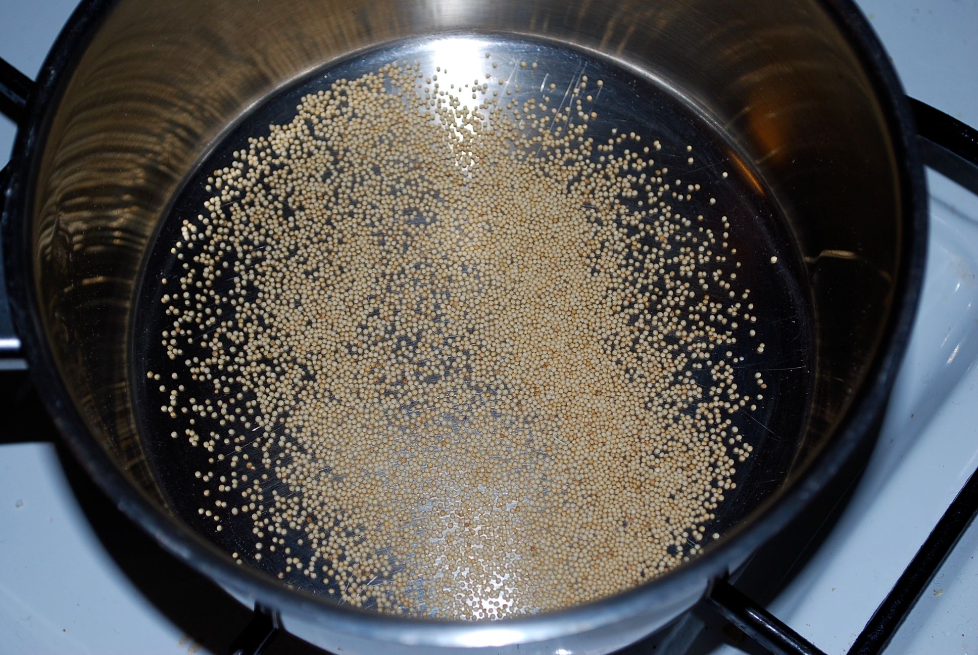 Popped Amaranth Cereal : 5 Steps (with Pictures) - Instructables