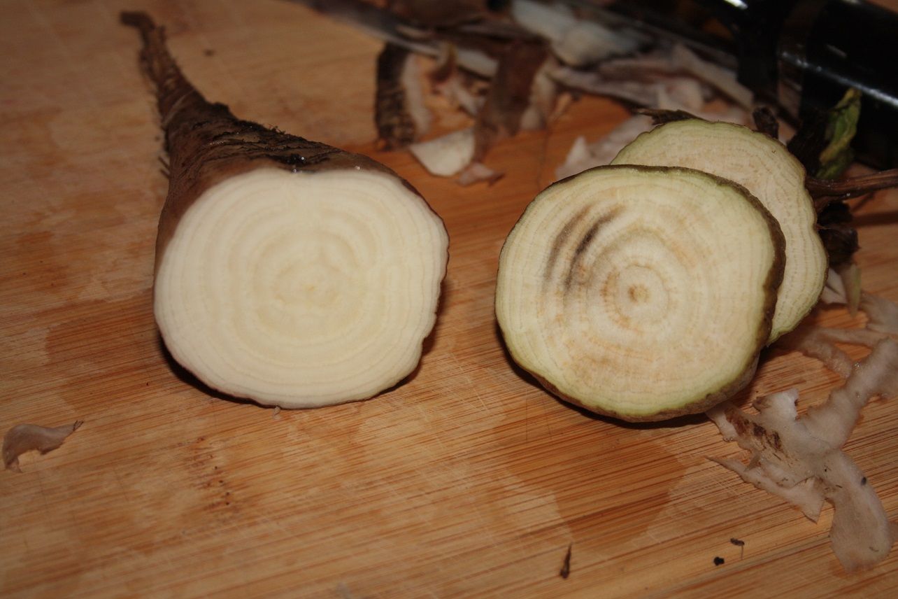 Making Sugar From Sugar Beets : 7 Steps (with Pictures) - Instructables