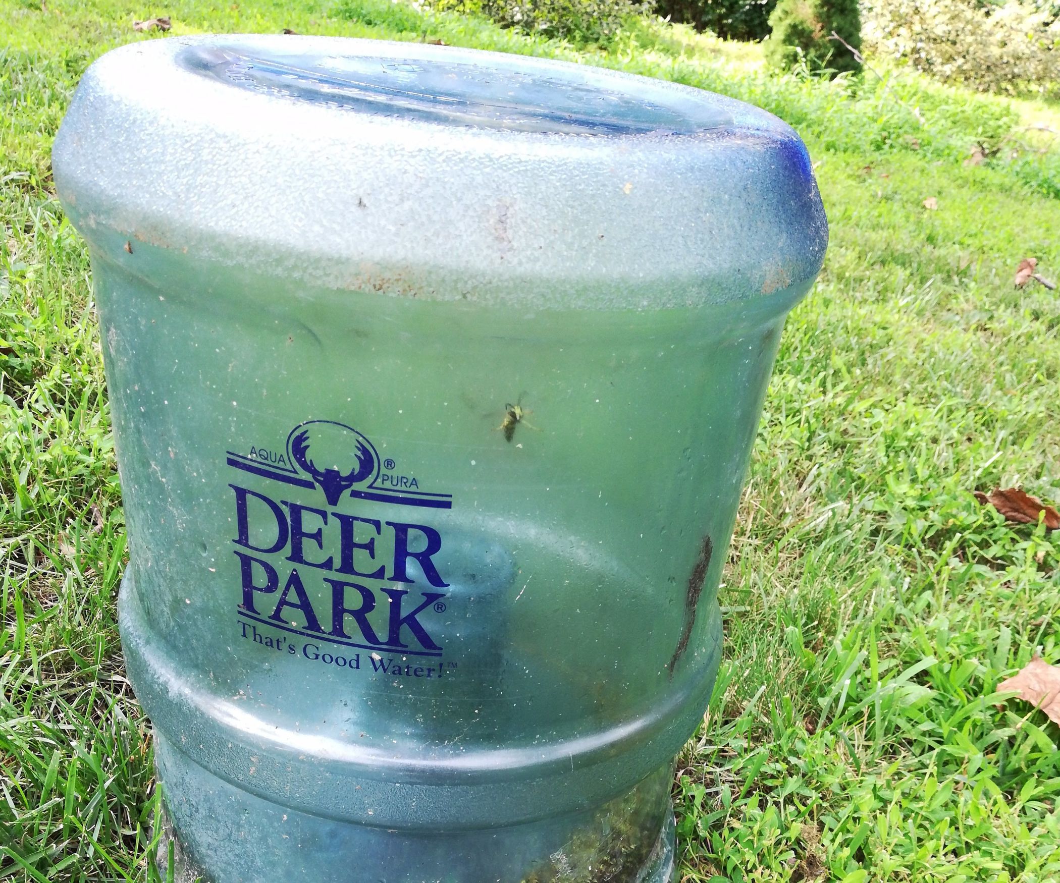 Yellow Jacket Ground Nest Trap From 5 Gallon Water Bottle : 6 Steps ...