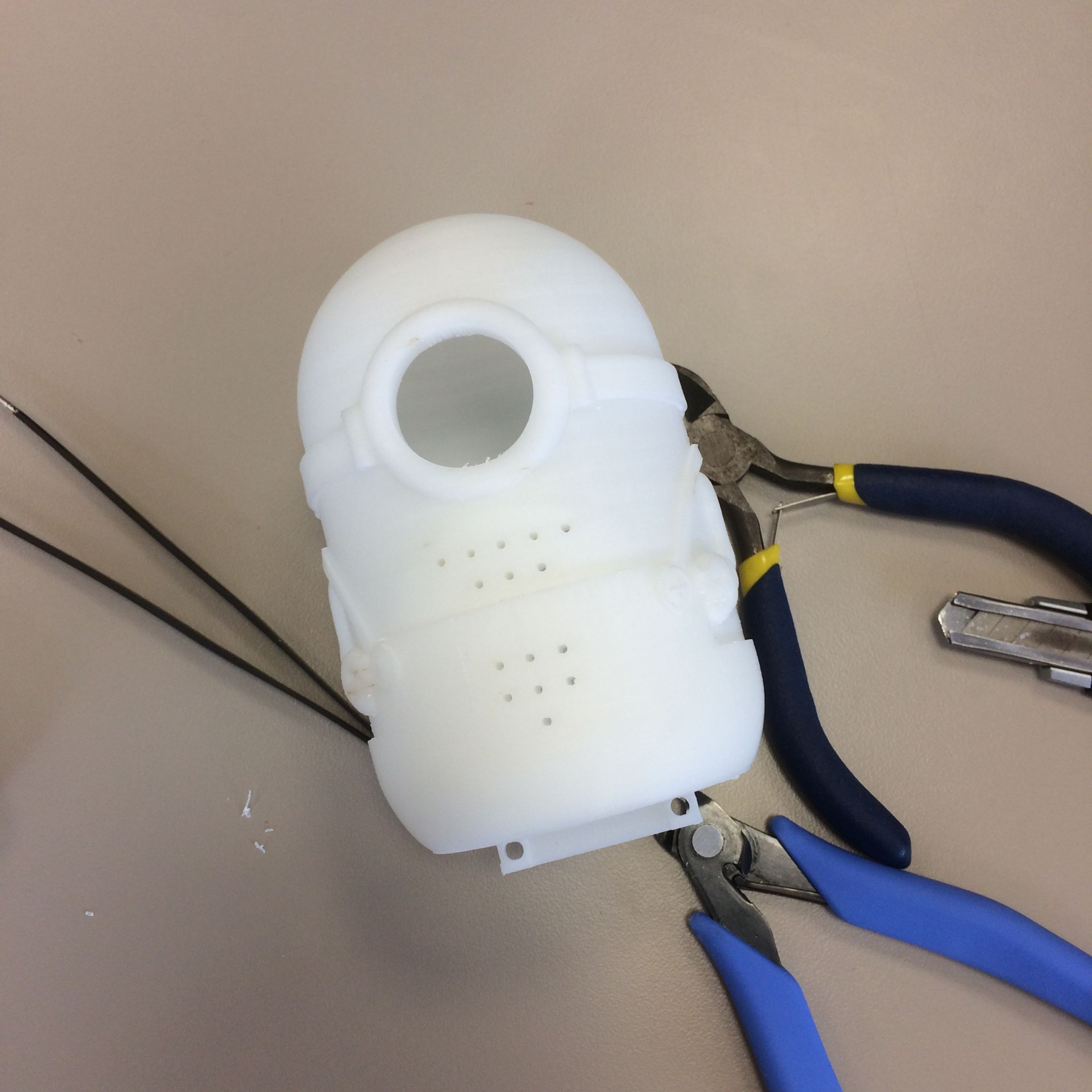 Robot Minion - Plant Watering Robot : 6 Steps (with Pictures ...