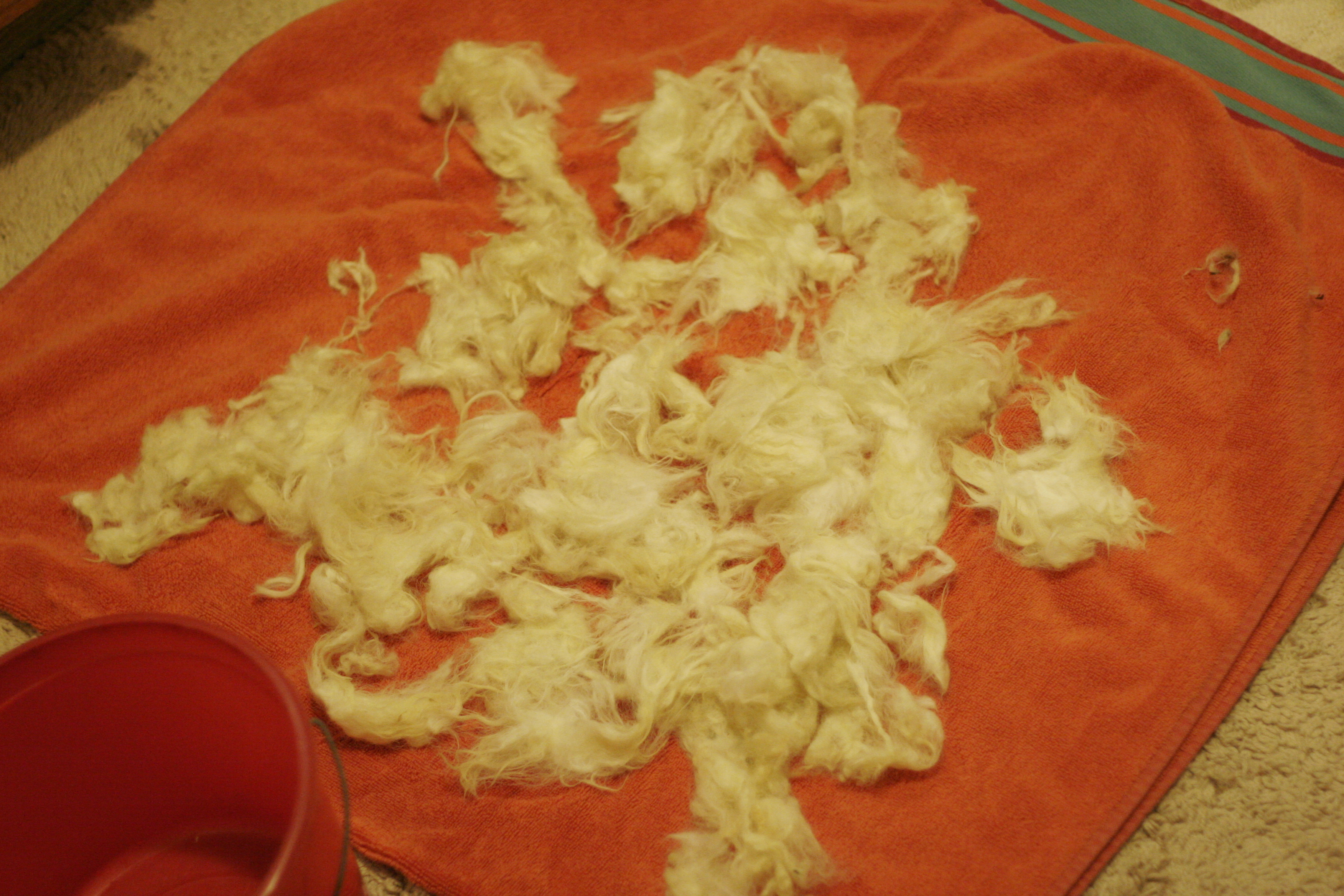 Wash Wool or Other Fibers for Spinning. : 5 Steps (with Pictures ...