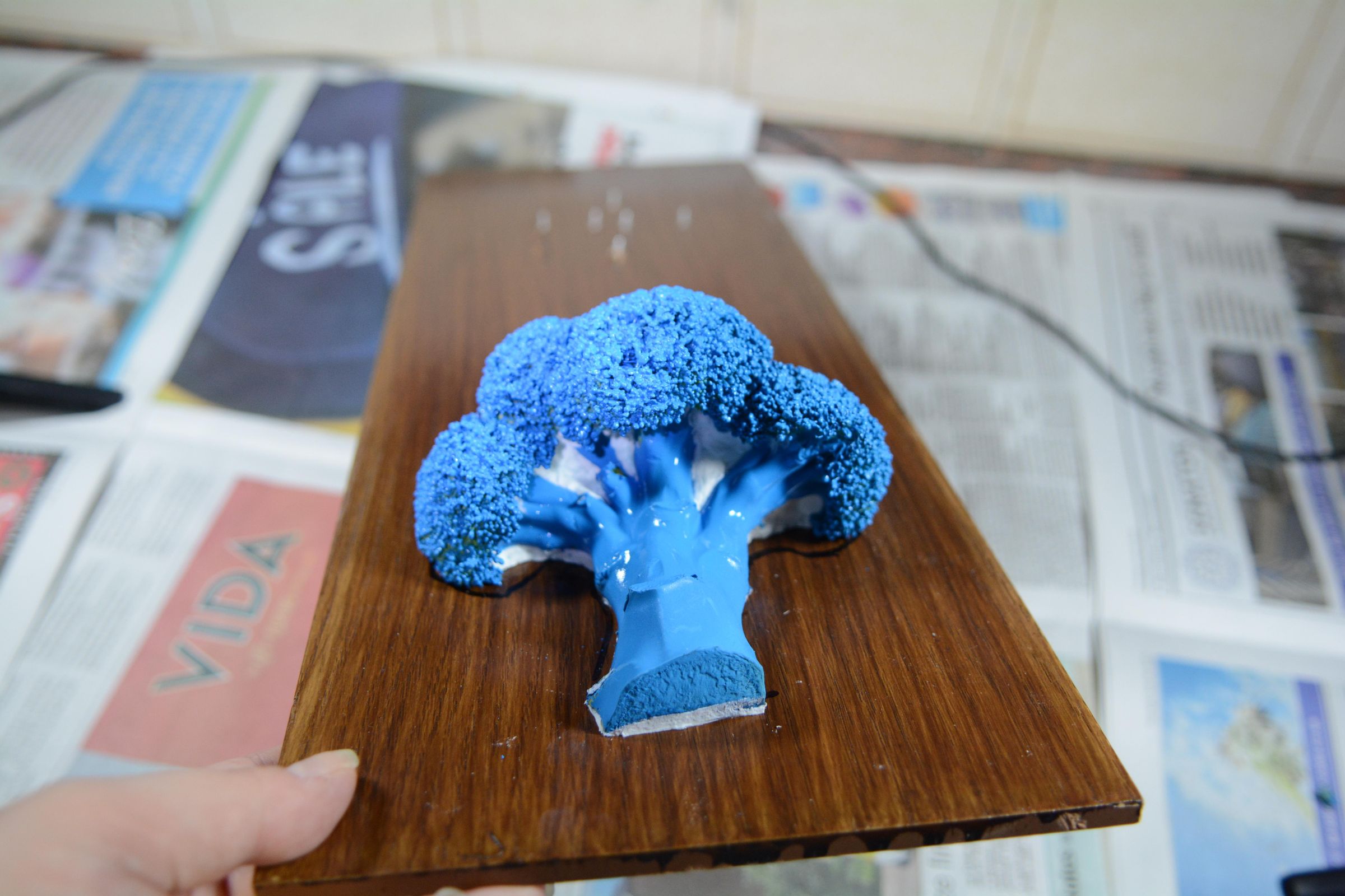 Fruit and Vegetable Art - Silicone Moulds and Plaster Casts : 15 Steps ...