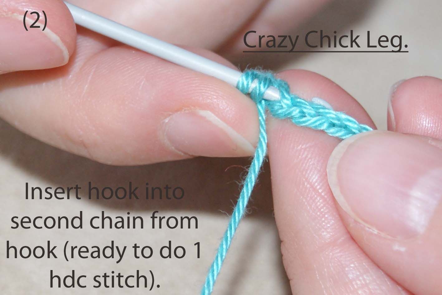 Crazy Chick : 16 Steps (with Pictures) - Instructables