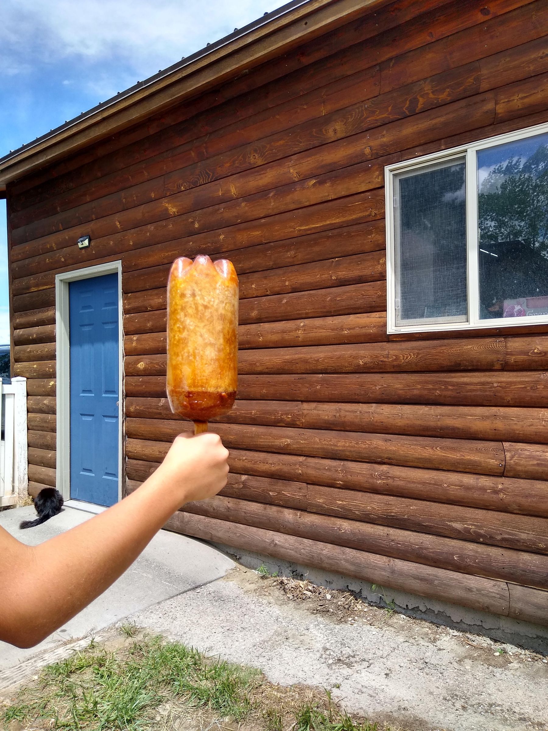 Giant Popsicle : 6 Steps - Instructables