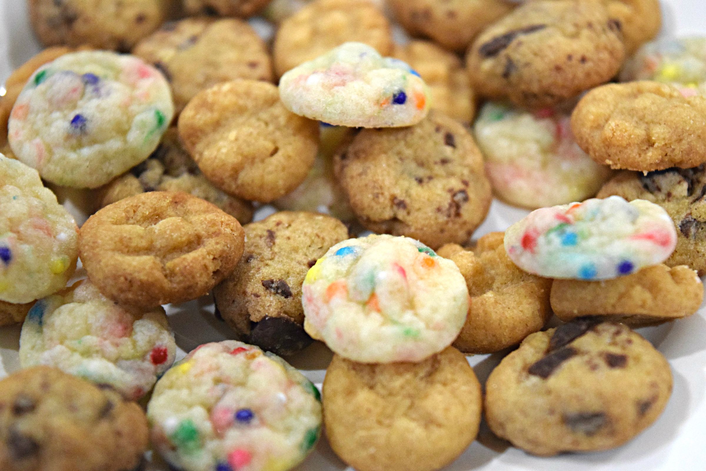 The Sweetest (and Cutest) Gift to Give: Tiny Cookies : 6 Steps (with ...