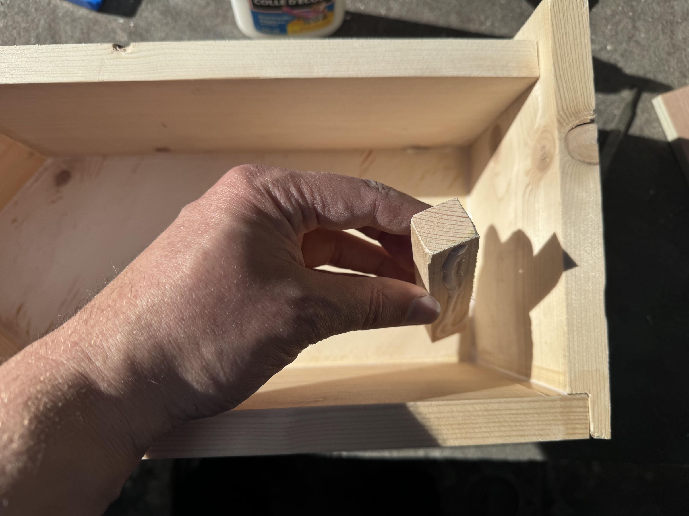 Side View Bird Box Camera and BlueTit Diary : 70 Steps (with Pictures ...