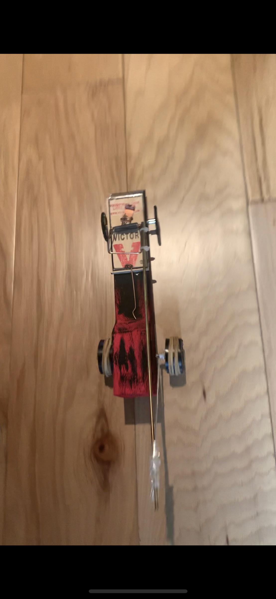 Mouse Trap Race Car : 5 Steps - Instructables