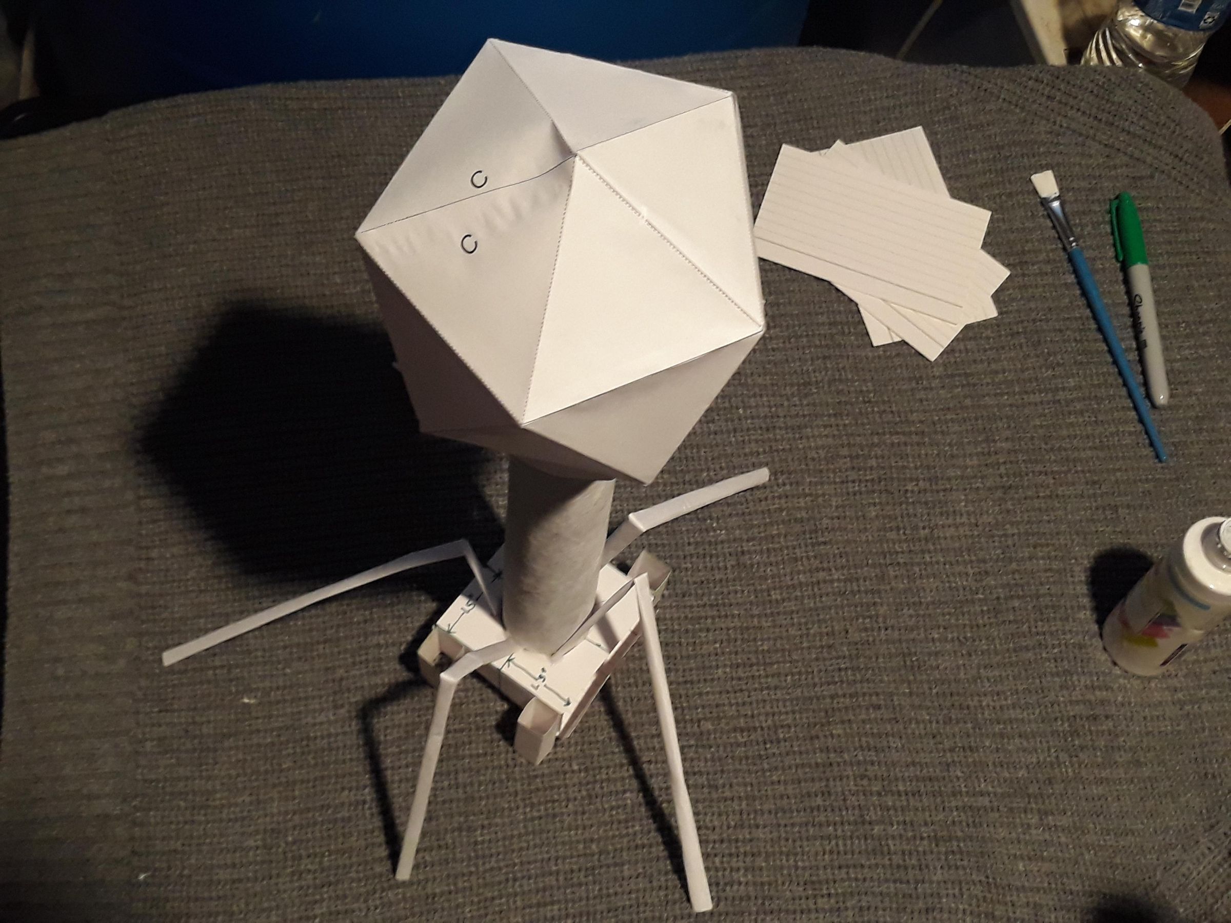 How To Build A Bacteriophage Model