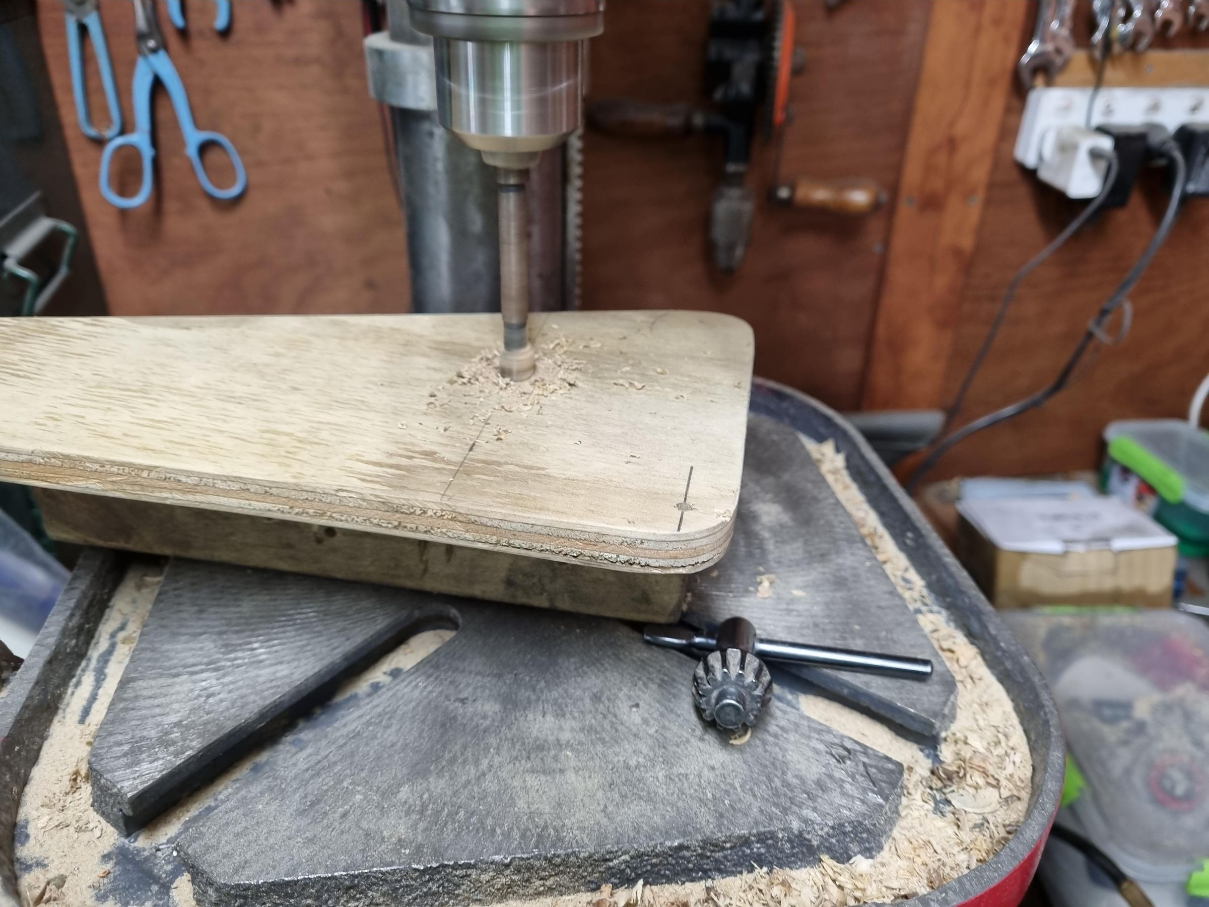 Cat Scratch Wheel : 8 Steps (with Pictures) - Instructables