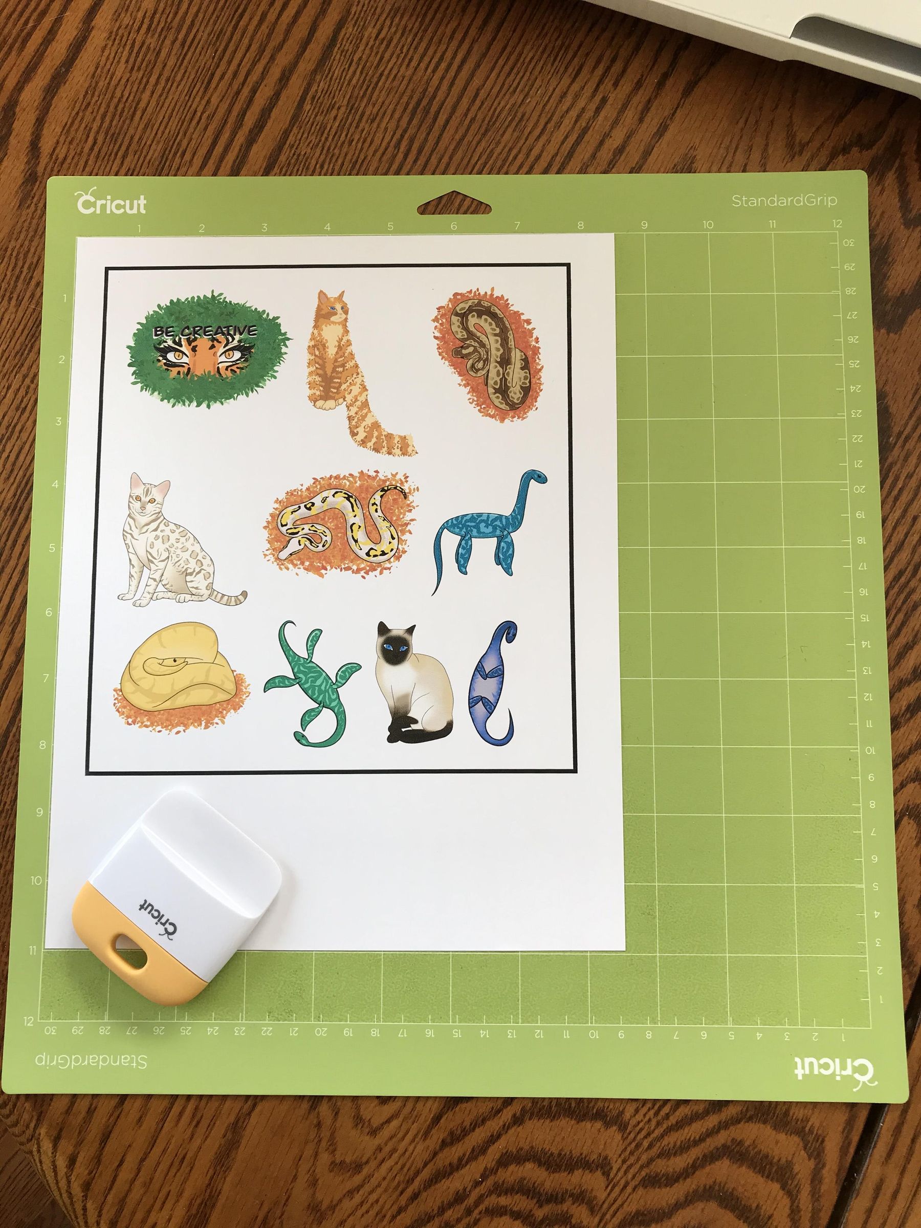 How to Dye Cut Print on a Cricut : 17 Steps (with Pictures) - Instructables