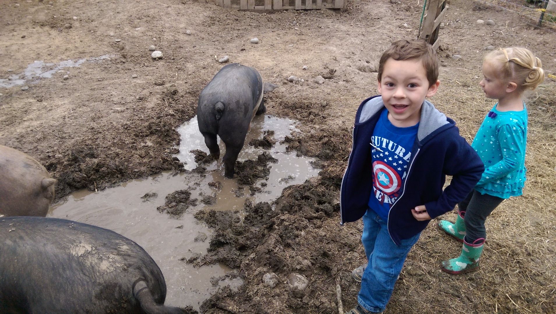 Raising Bacon - Before and After : 5 Steps (with Pictures) - Instructables