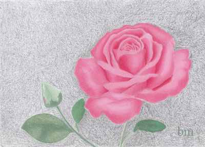 How to Color in a Rose Step by Step . : 10 Steps - Instructables