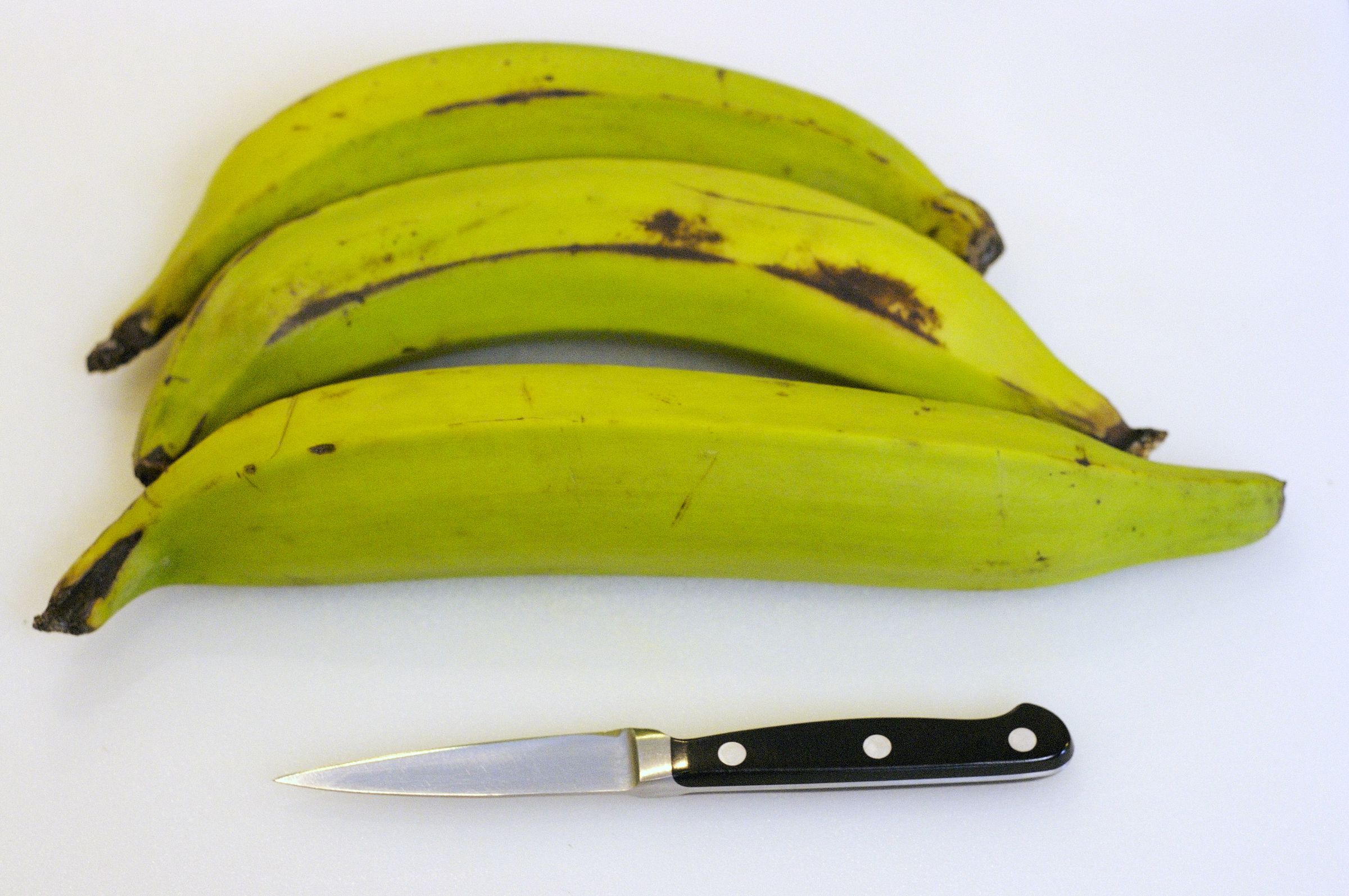 Tostones (Fried Plantains) : 8 Steps (with Pictures) - Instructables
