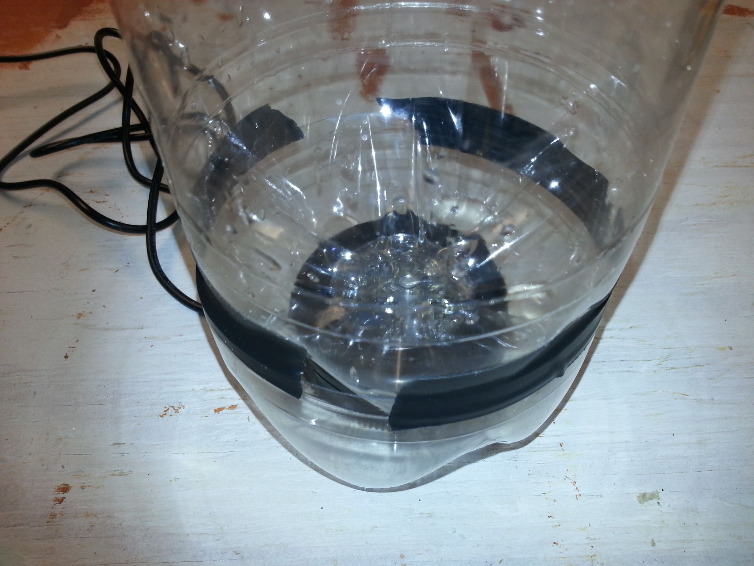 The Inescapable Stink Bug Trap : 5 Steps - Instructables