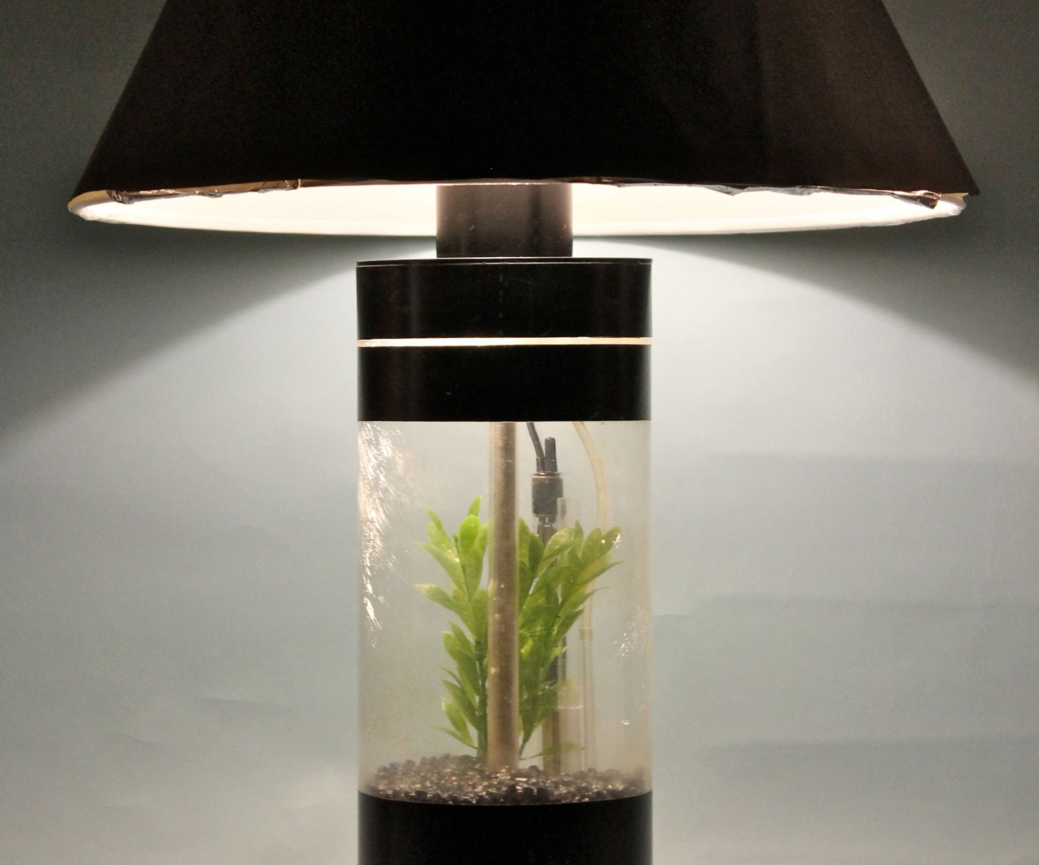 Aquarium Table Lamp : 6 Steps (with Pictures) - Instructables