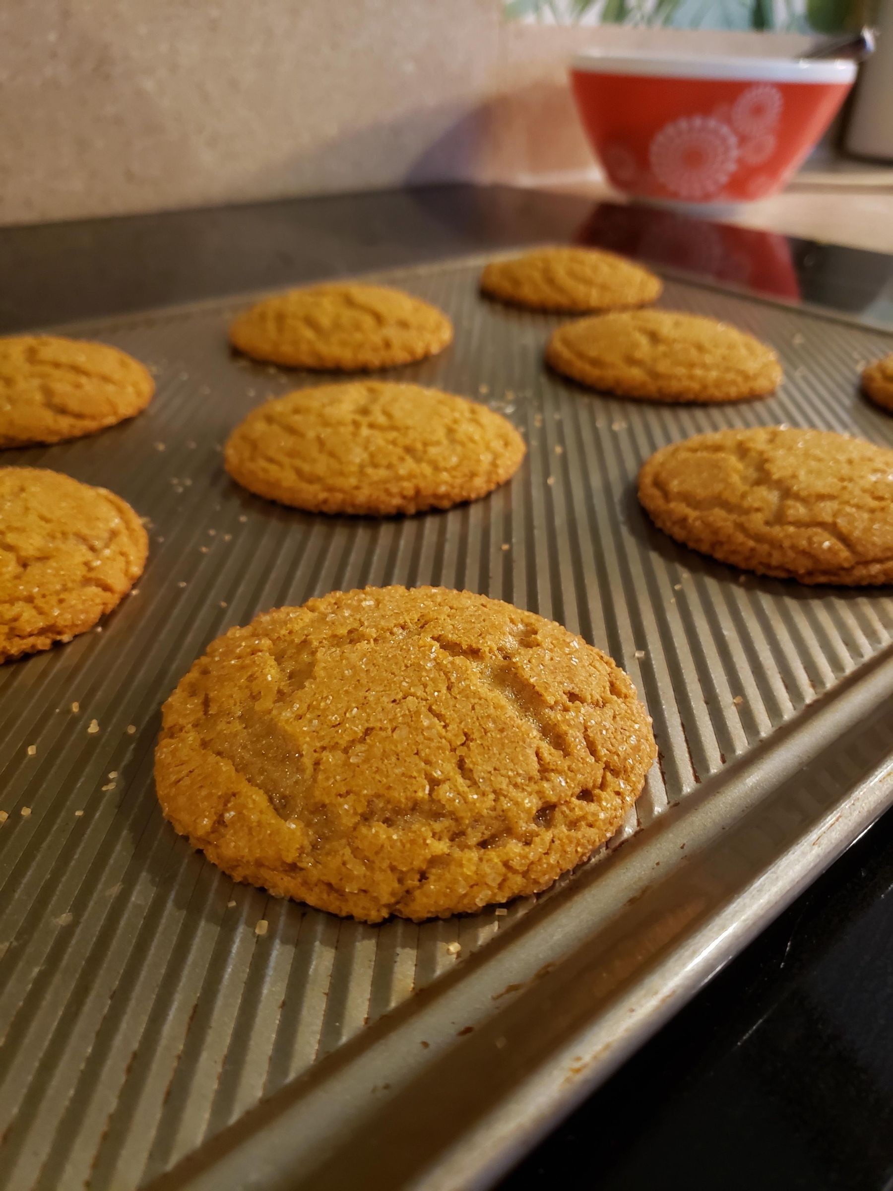 Chocolate Dipped Gingersnaps : 6 Steps (with Pictures) - Instructables