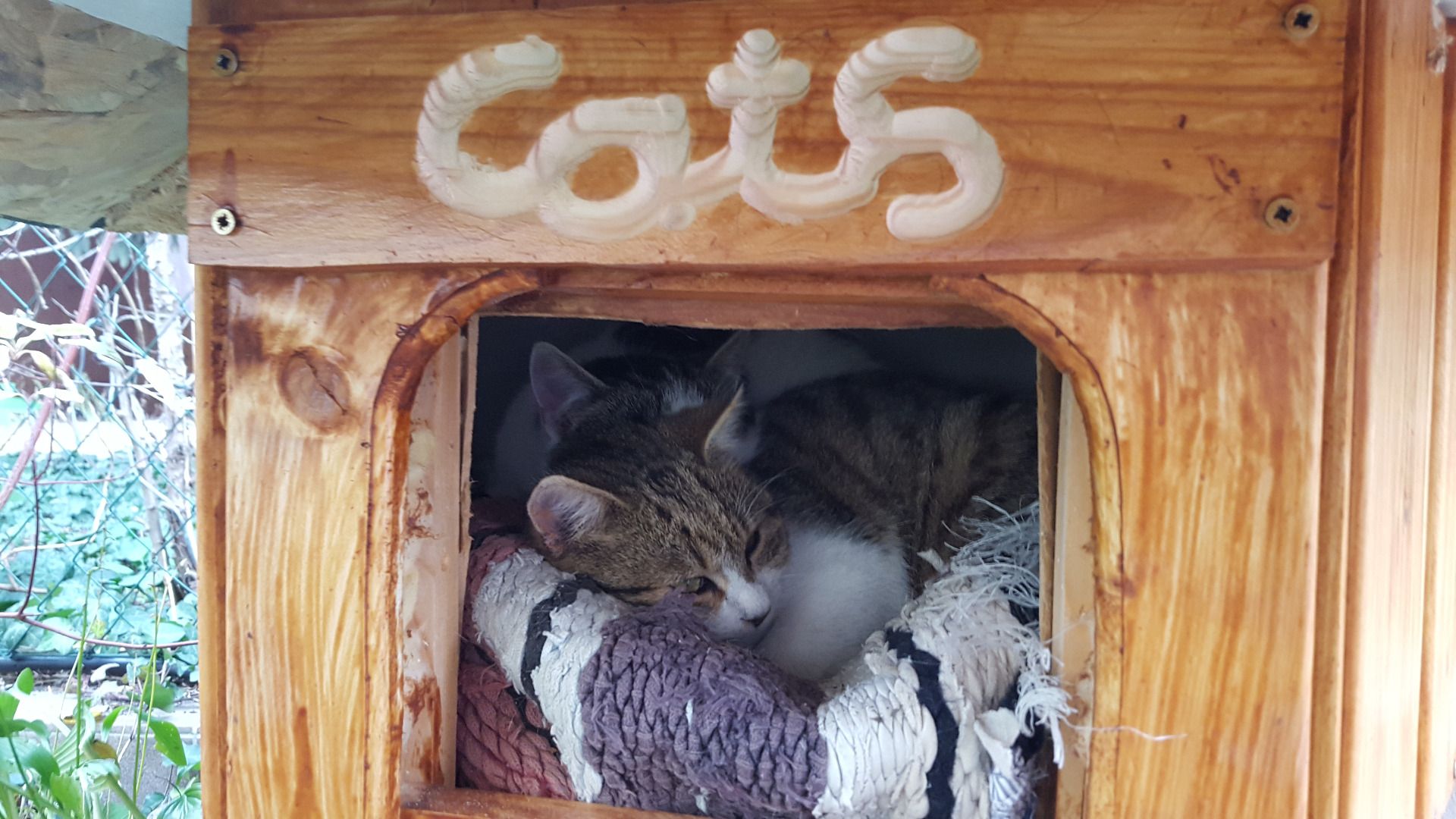 Double Floor Cat House : 11 Steps (with Pictures) - Instructables