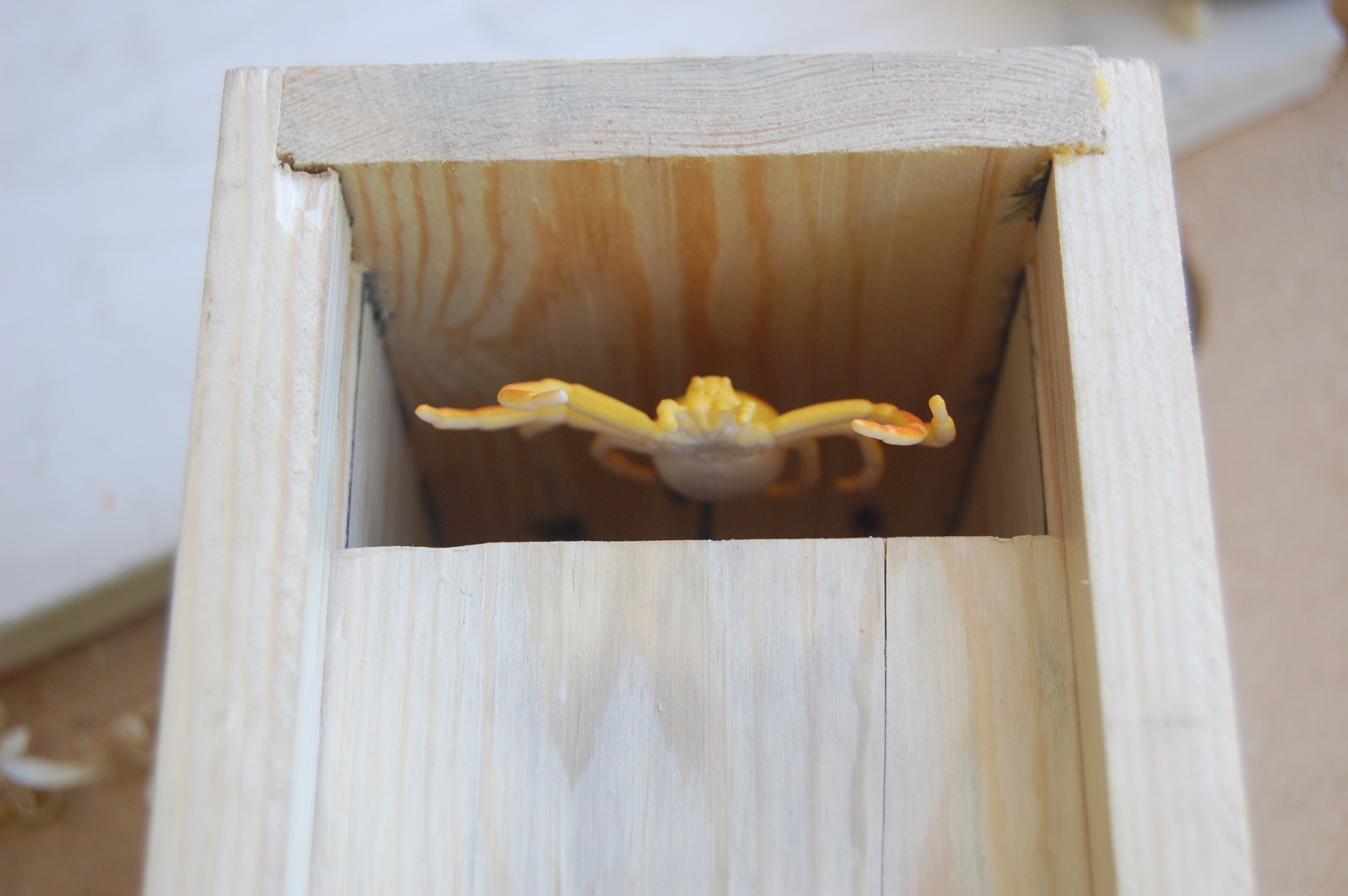 Spider Box : 11 Steps (with Pictures) - Instructables