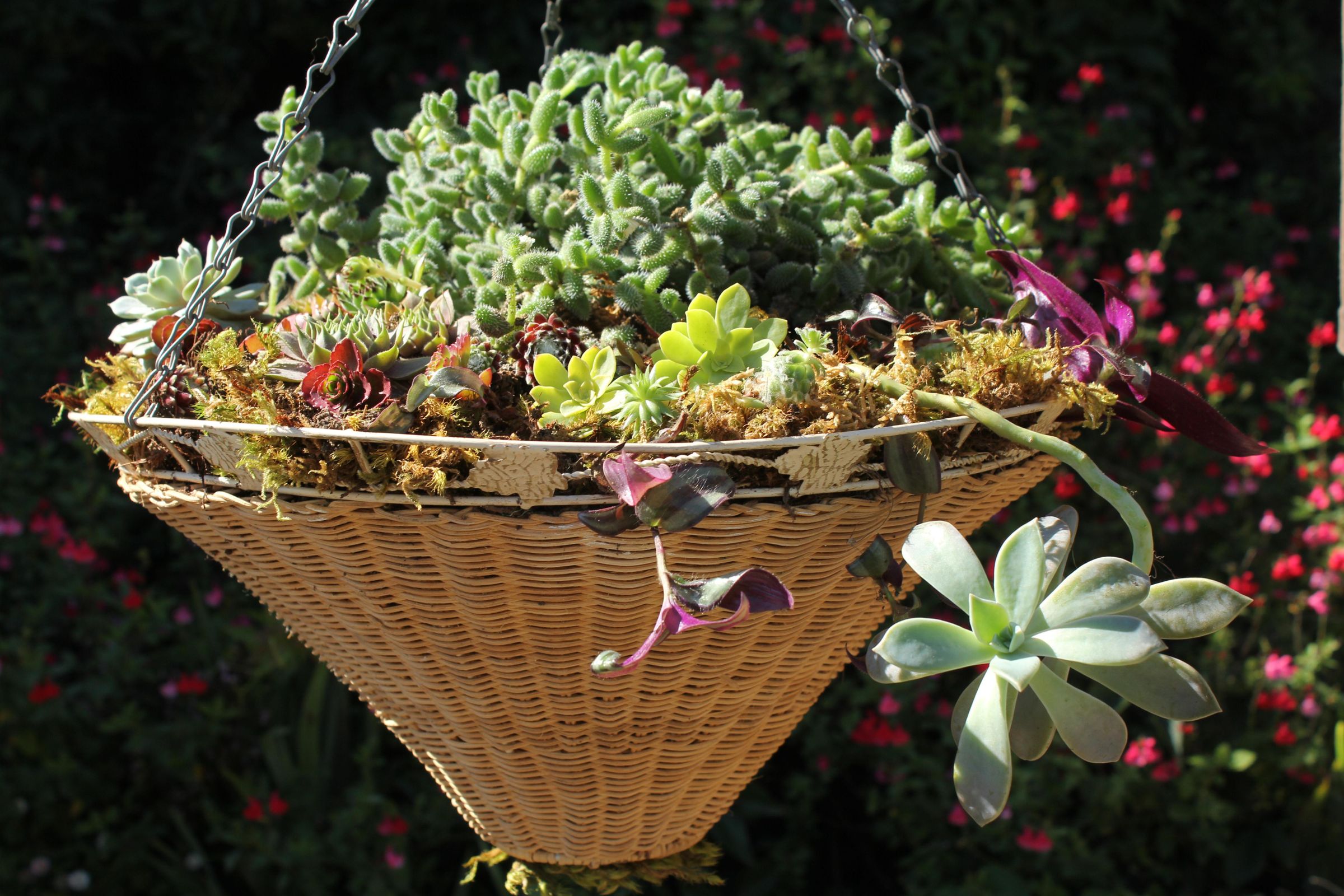 Lampshade to Planter Conversion : 6 Steps (with Pictures) - Instructables