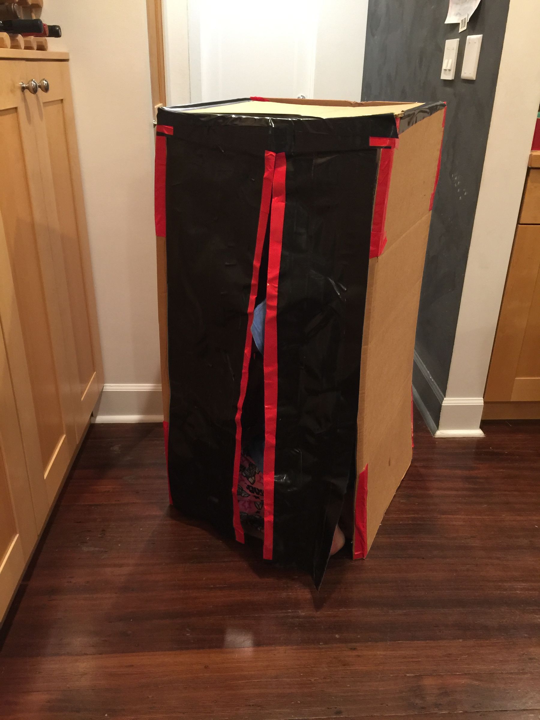 Duct Tape and Cardboard Photobooth : 6 Steps (with Pictures ...