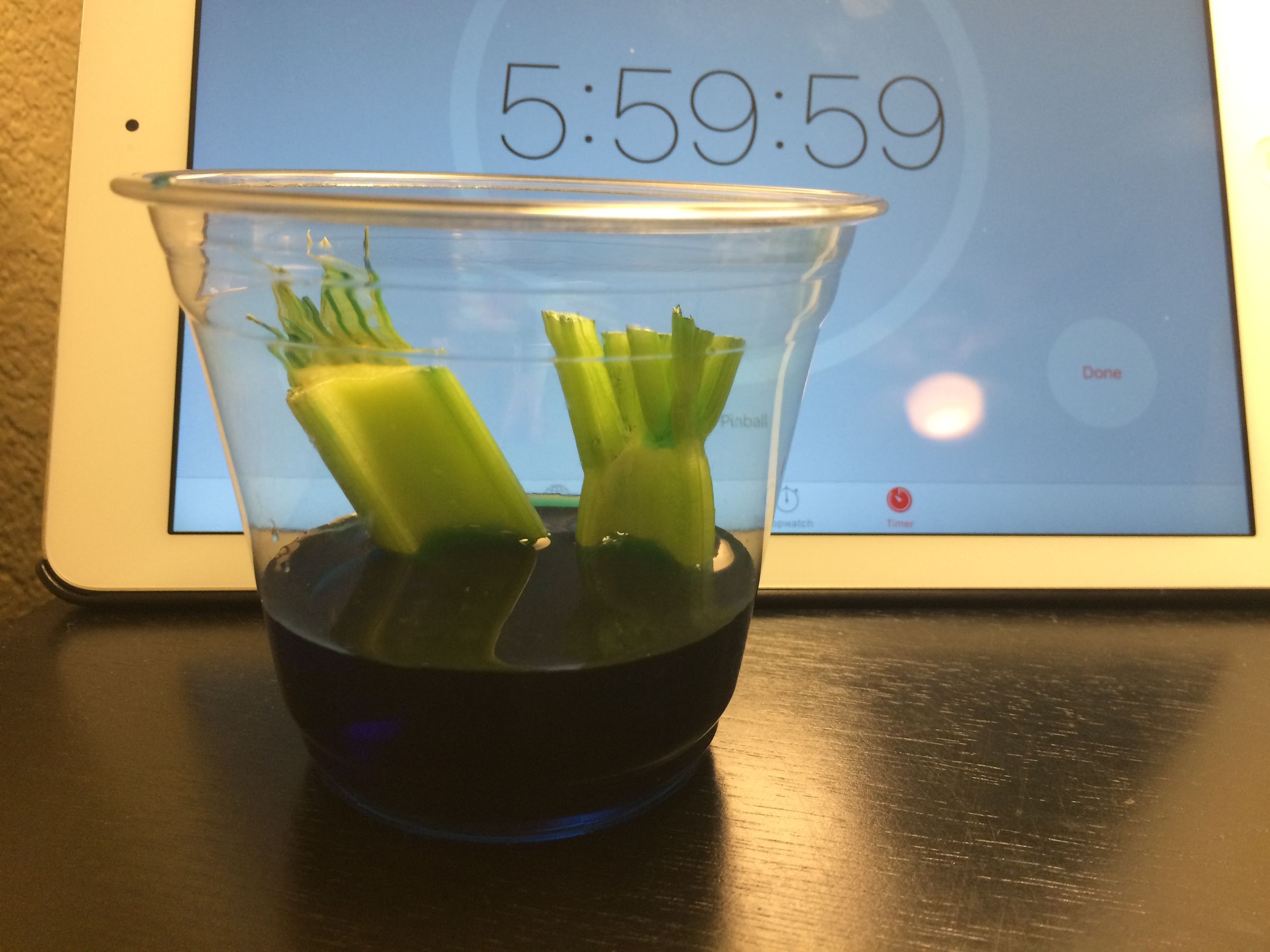 Observing Water Movement Within Celery : 7 Steps - Instructables