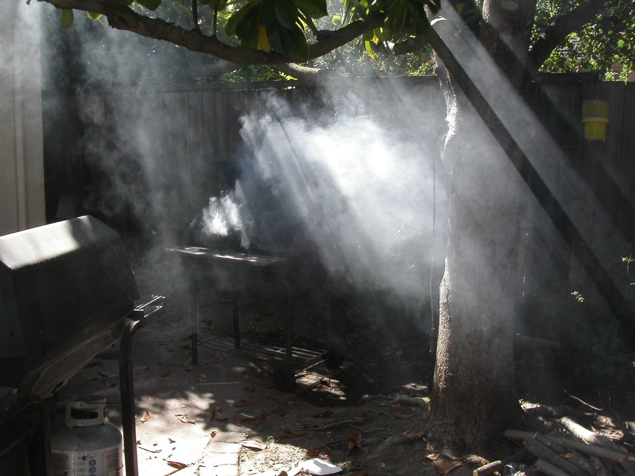 How to Roast a Pig : 20 Steps (with Pictures) - Instructables