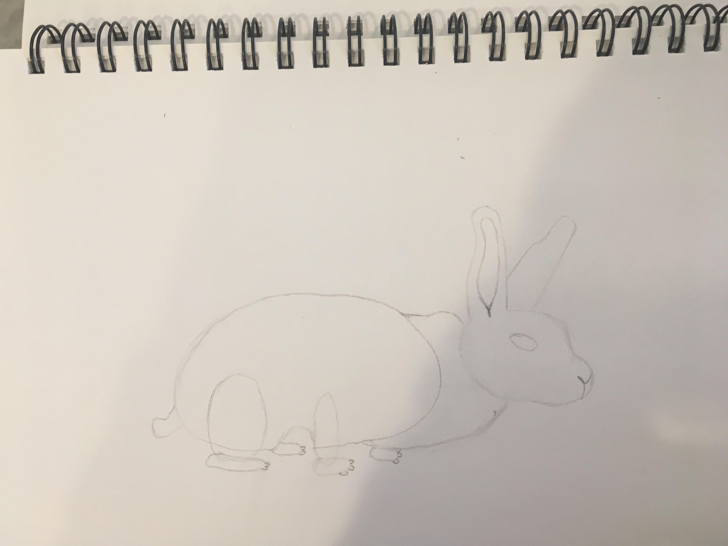How to Draw a Realistic Bunny (standing) : 26 Steps - Instructables